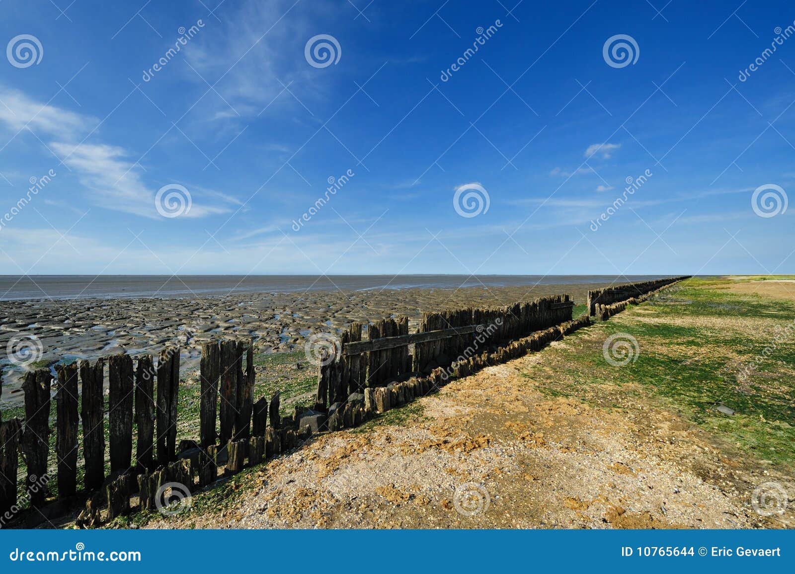 Wadden Sea in Moddergat, the Netherlands Stock Photo - Image of beach ...