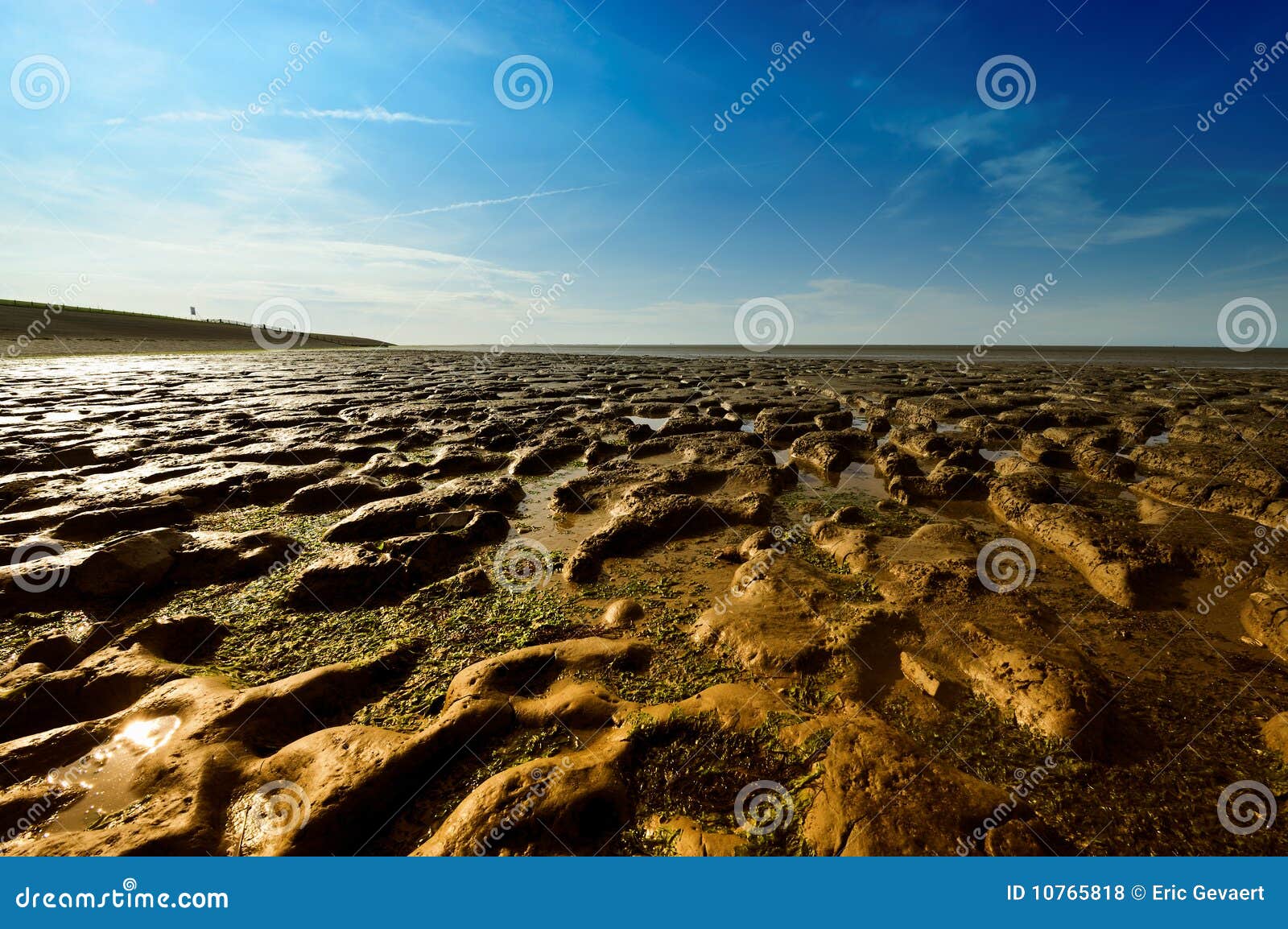 Wadden Sea in Moddergat, the Netherlands Stock Photo - Image of holland ...
