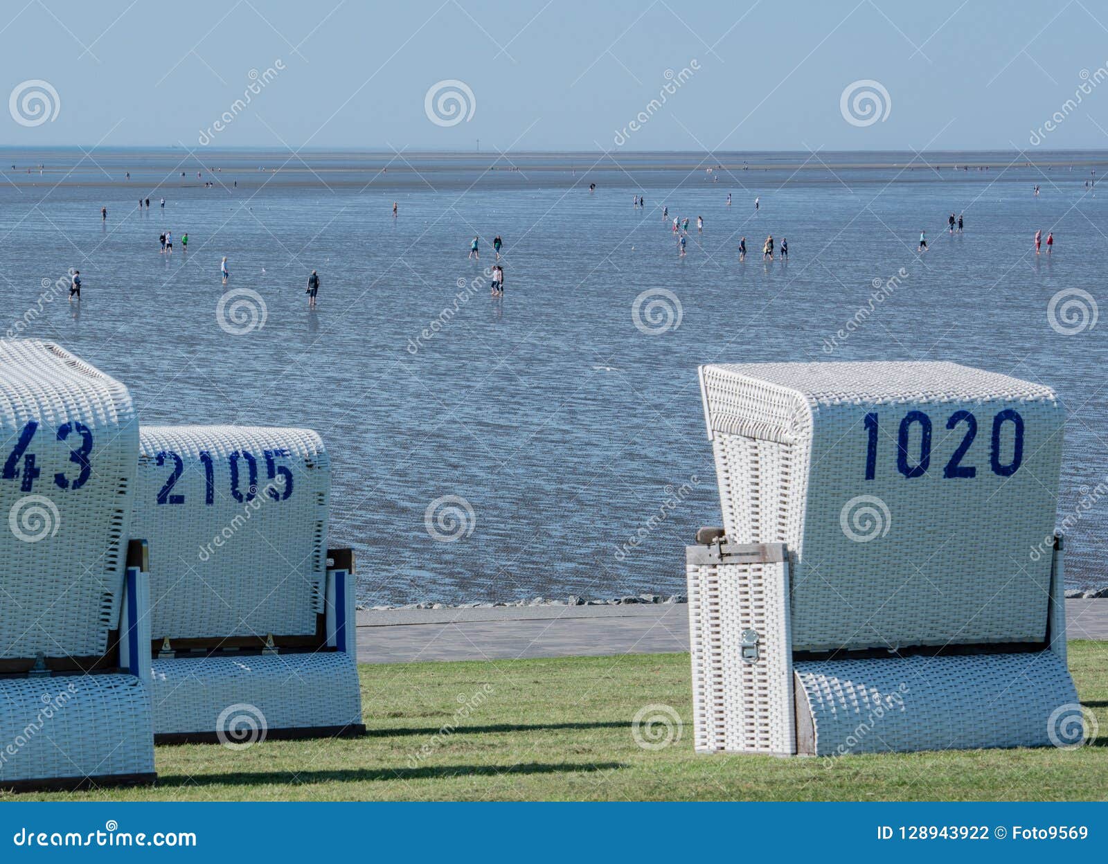 Wadden Sea on the North Sea Coast Stock Photo - Image of water ...