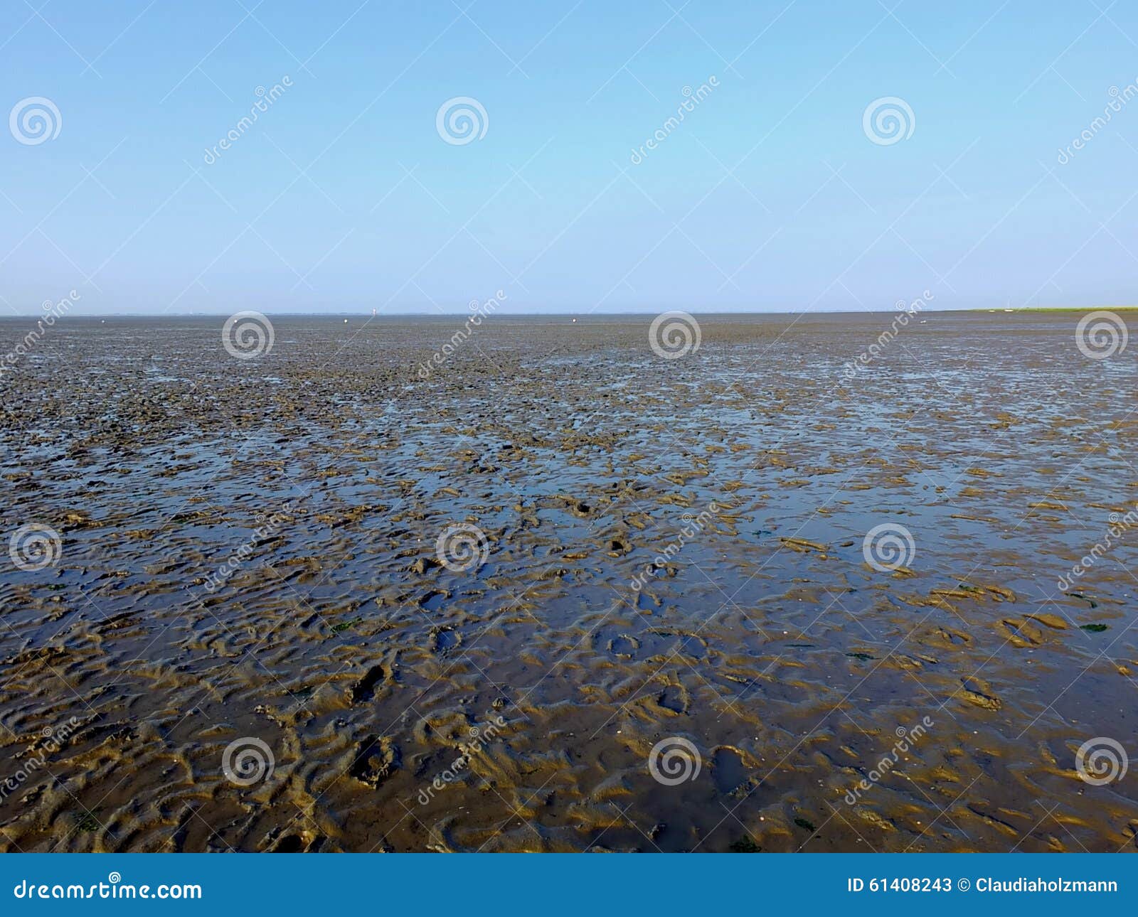 Wadden sea stock image. Image of island, world, heritage - 61408243