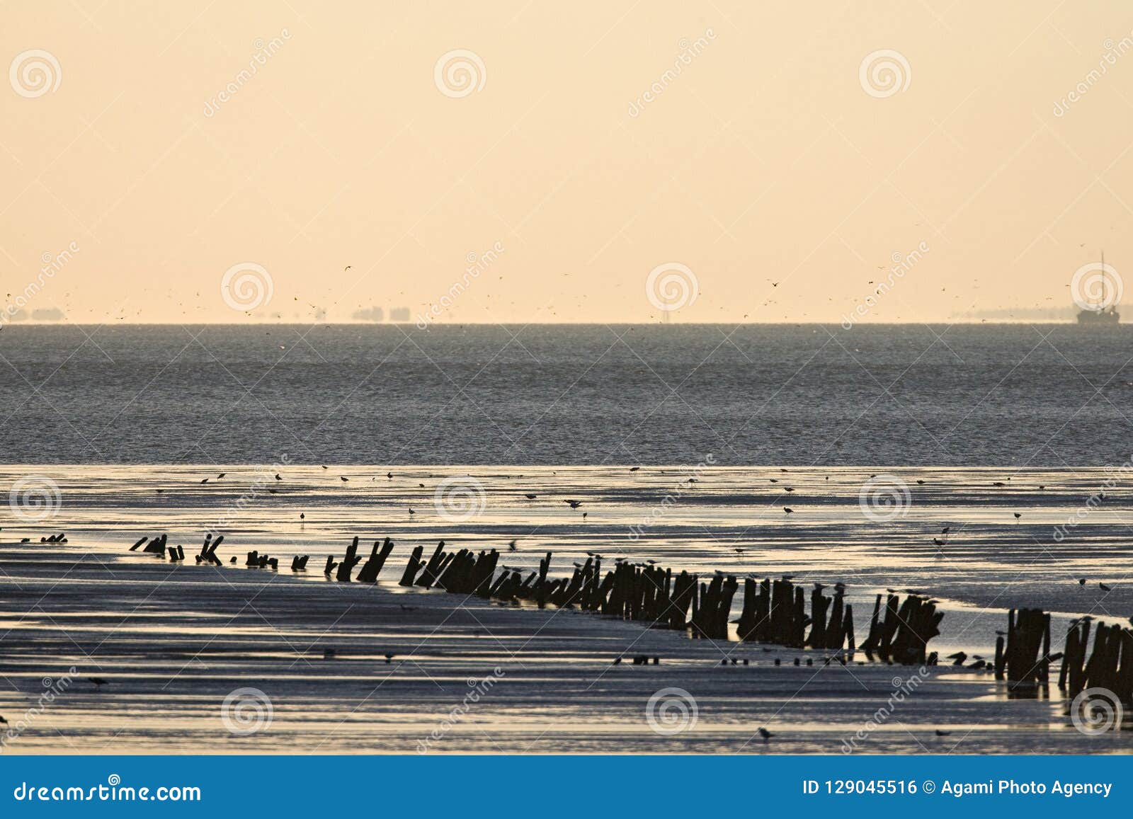 Waddenzee Bij Den Oever, Waddensea at Den Oever Stock Photo - Image of ...