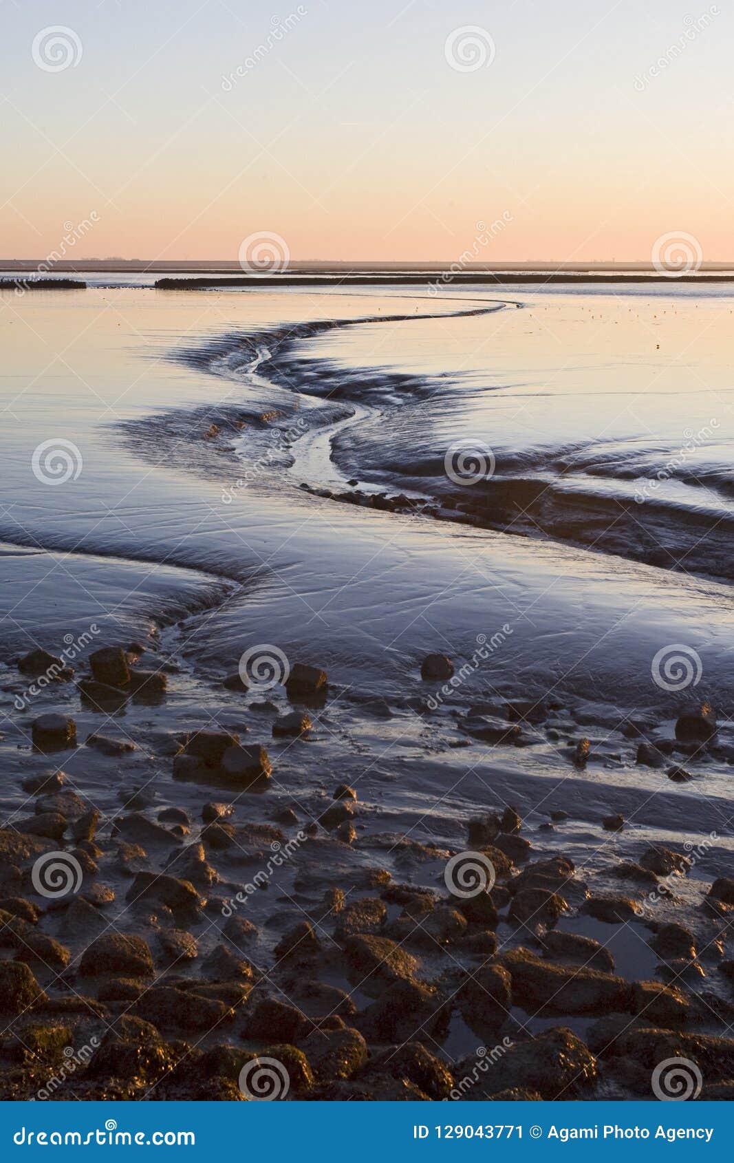 Waddenzee Bij Holwerd, Wadden Sea at Holwerd Stock Image - Image of ...