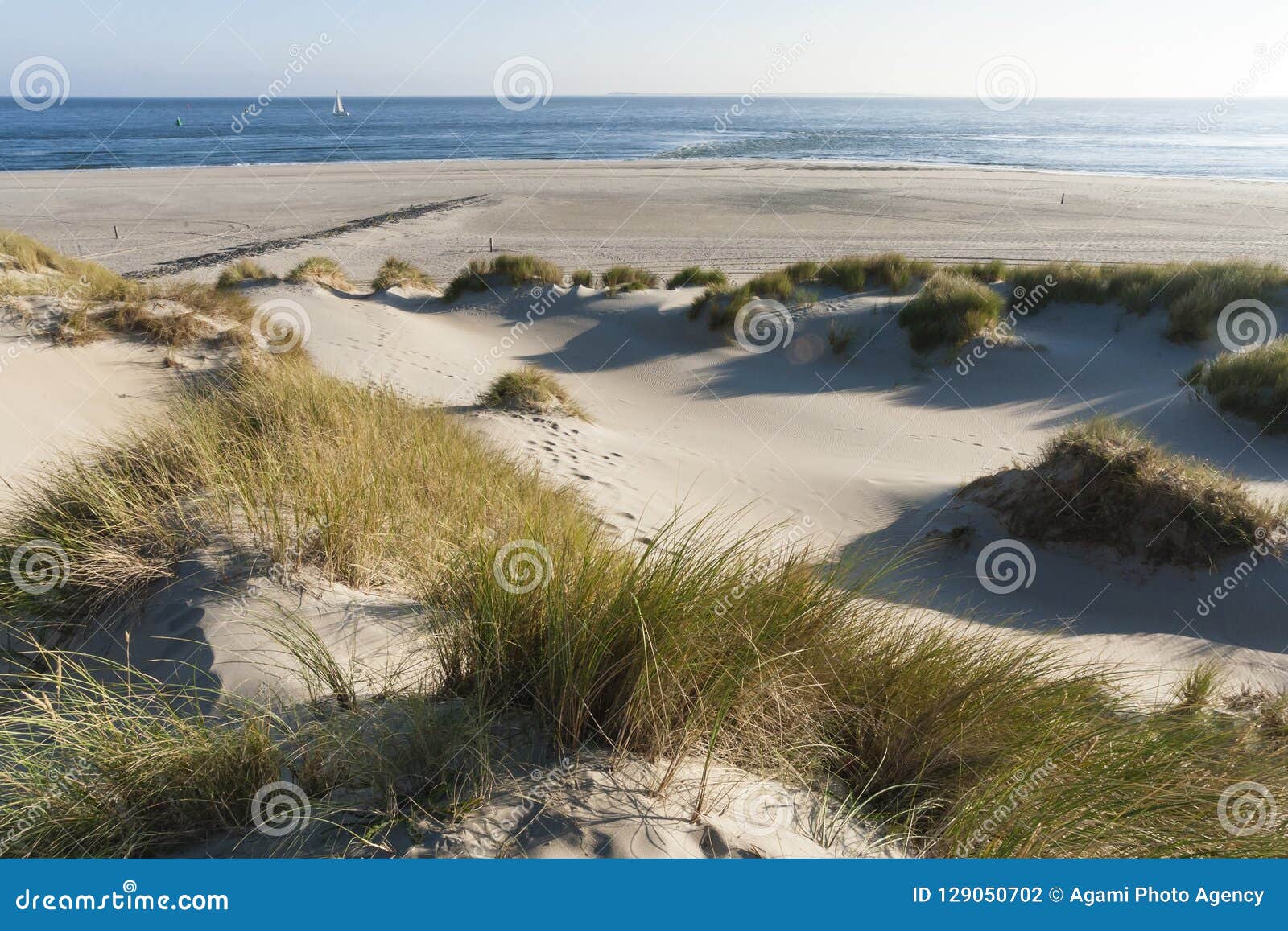 Waddenzee, Wadden Sea stock photo. Image of 2000, vlieland - 129050702