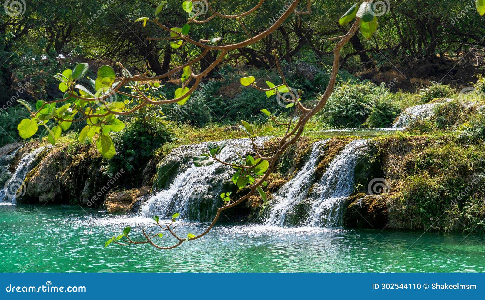 Wadi Darbat in the Dhofar Region of Oman Stock Photo - Image of travel ...