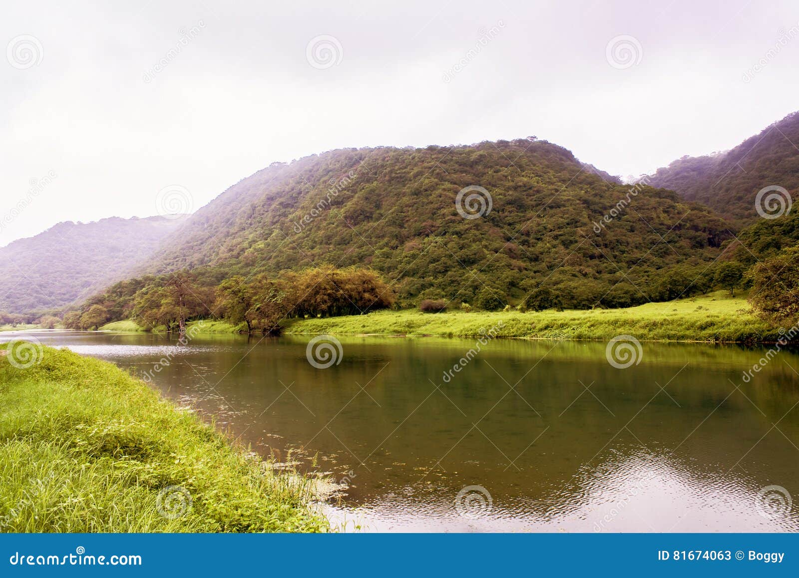 Wadi Darbat in Salalah, Oman Stock Image - Image of nature, landscape ...