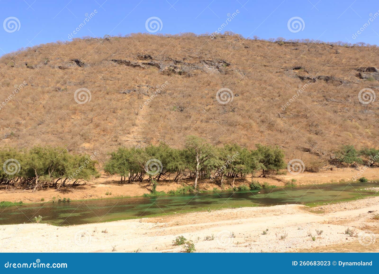 Wadi Dharbat or Sometimes Spelled Darbat, Salalah, Sultanate of Oman ...