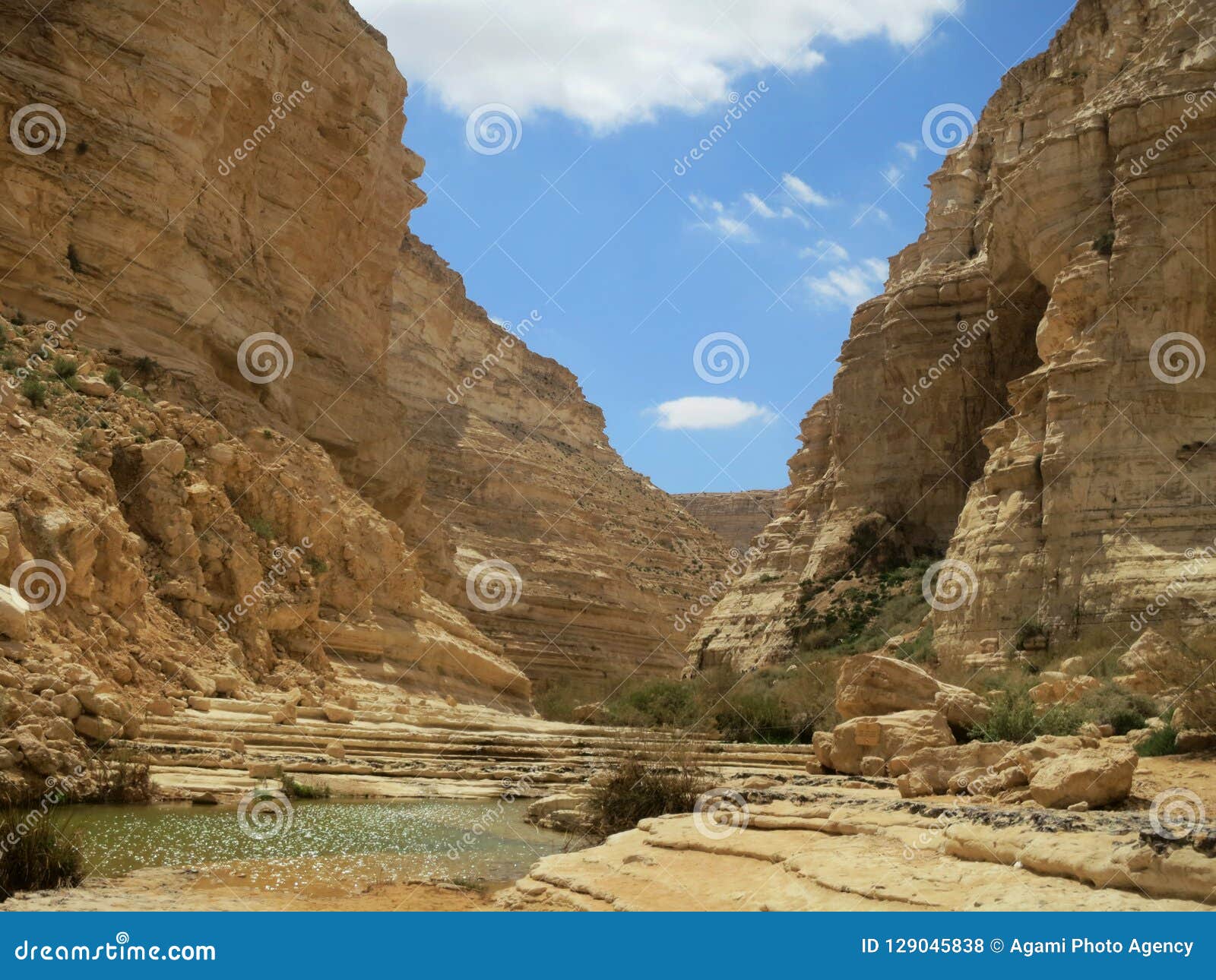 Wadi Ein Avdat, Israel stock photo. Image of marc, flyway - 129045838