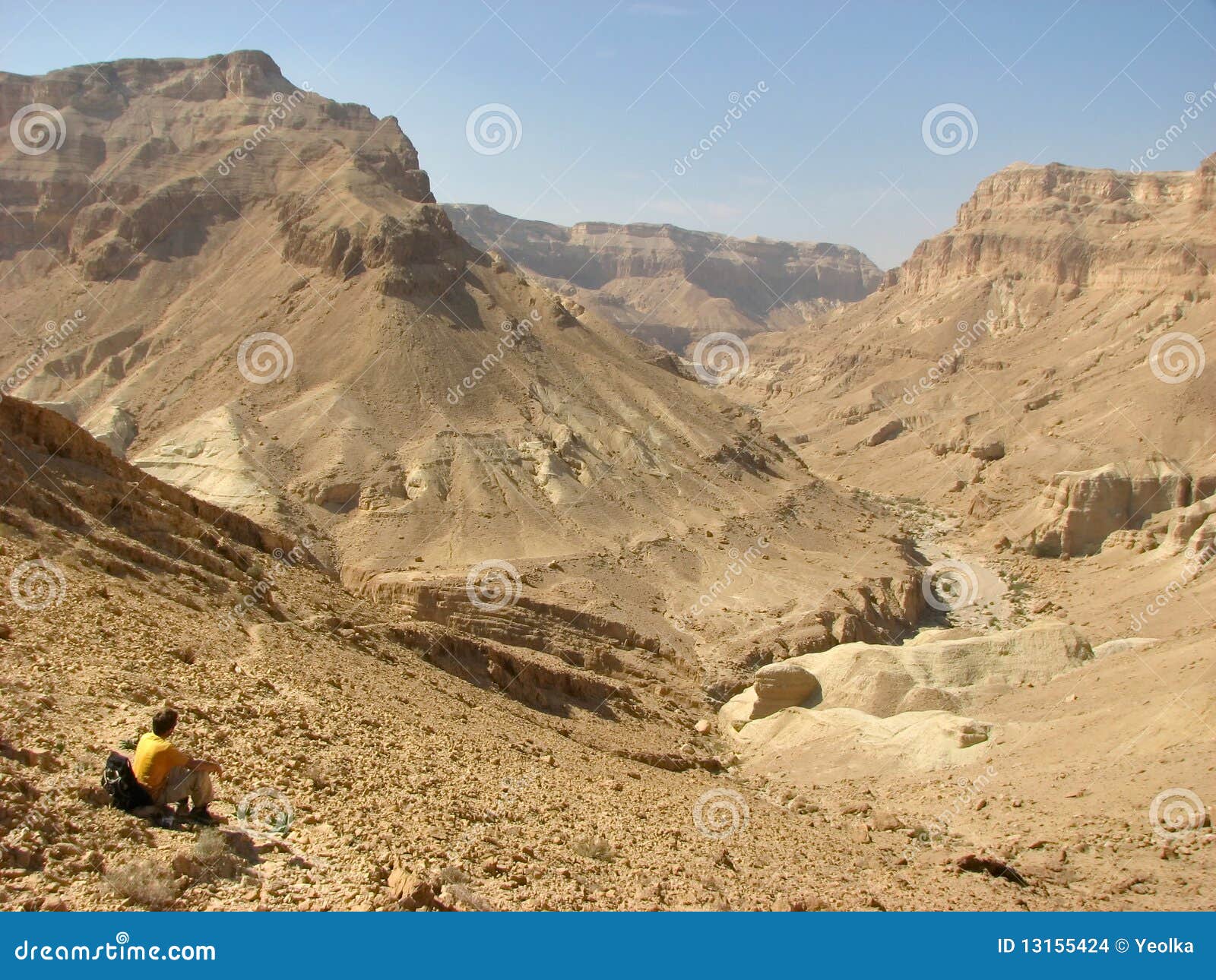 Wadi Hemar. Negev desert. stock photo. Image of urban - 13155424
