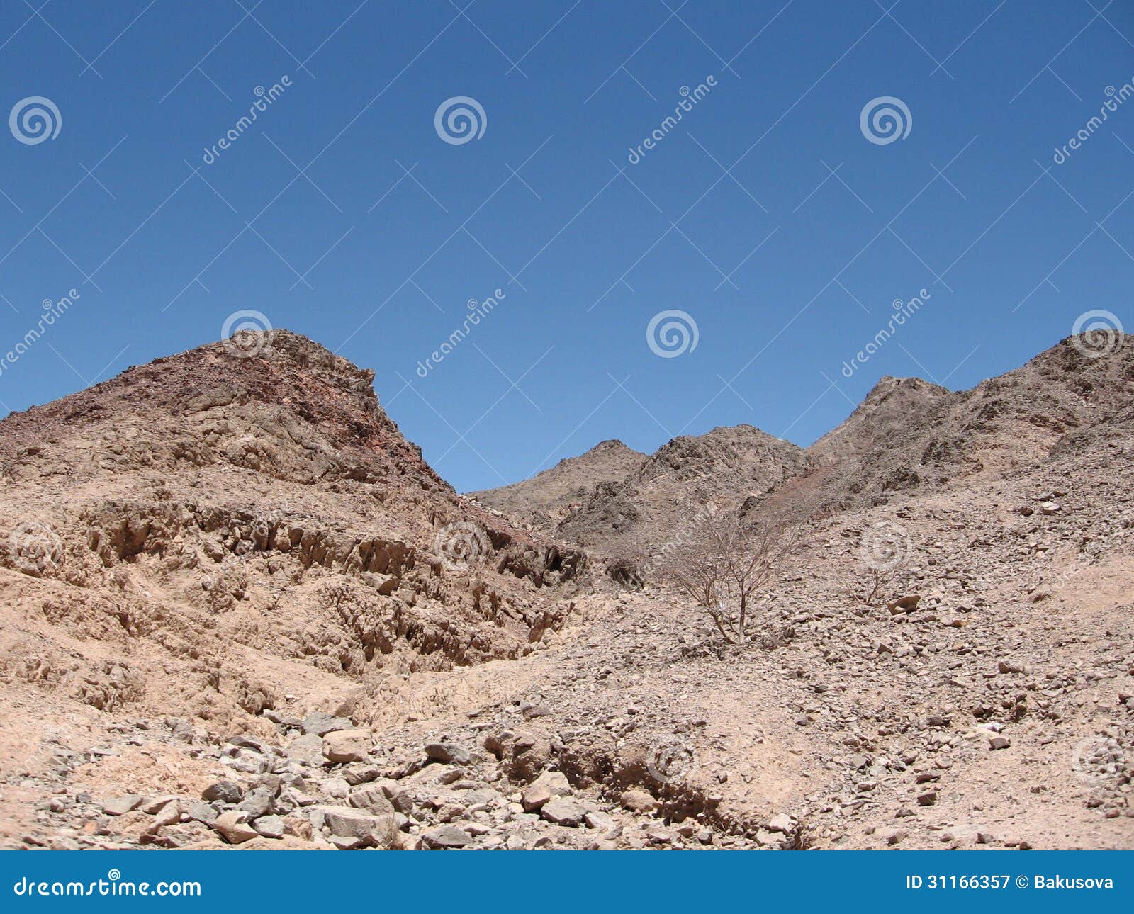 Wadi and mountains stock image. Image of landscape, desert - 31166357
