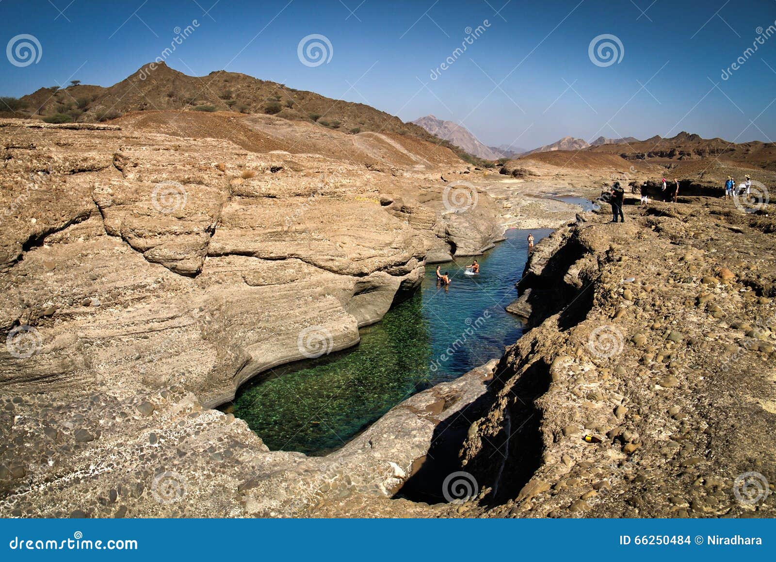 Wadi in Oman stock photo. Image of water, ralaxation - 66250484