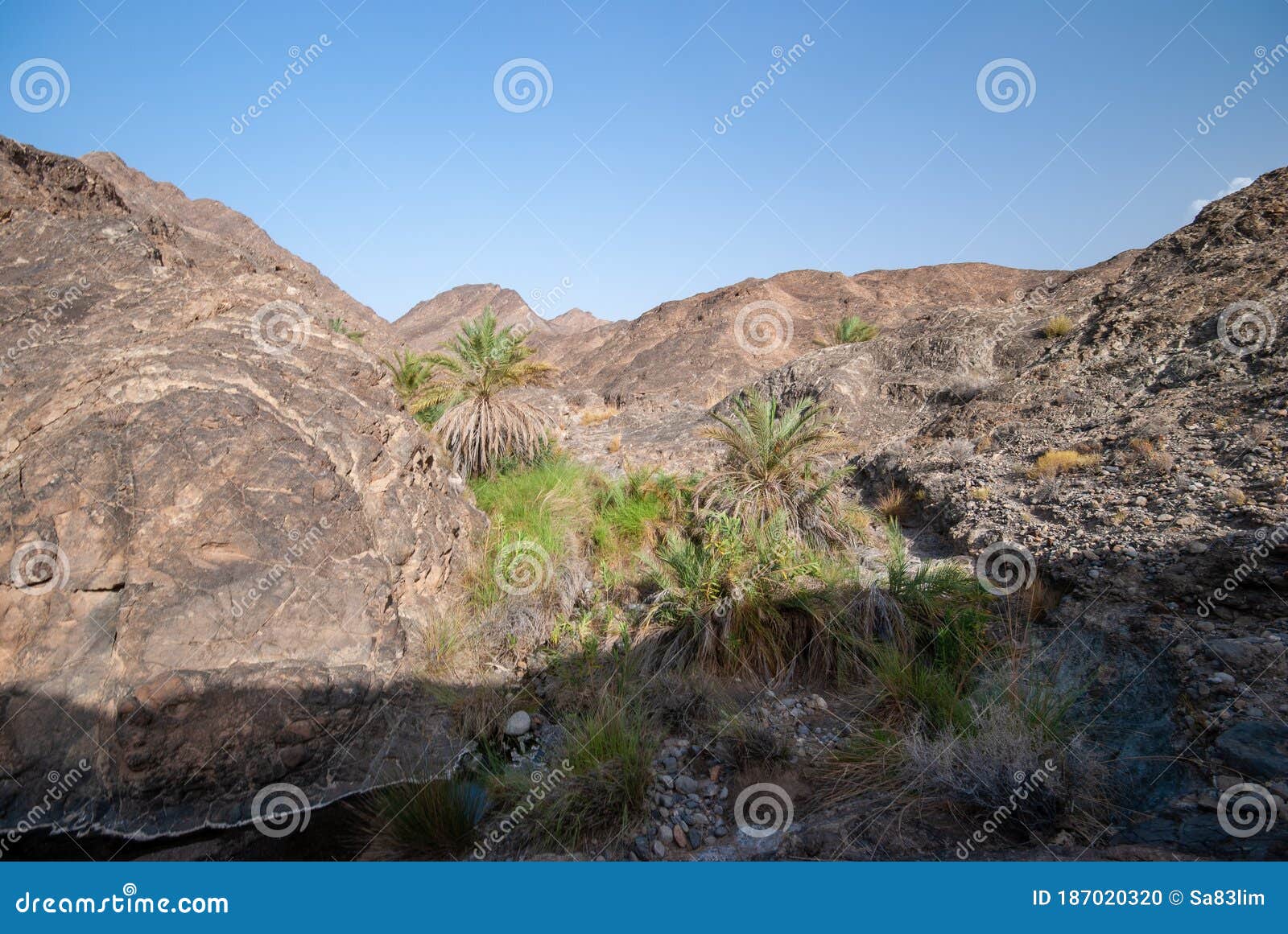 Wadi in Rustaq Mountains, Oman Stock Photo - Image of hiking, oasis ...