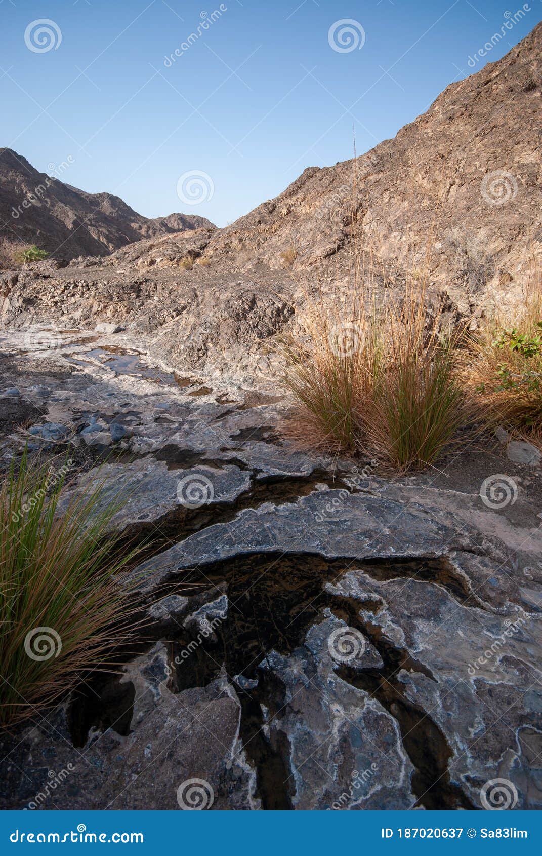 Wadi in Rustaq Mountains, Oman Stock Image - Image of palms, valley ...