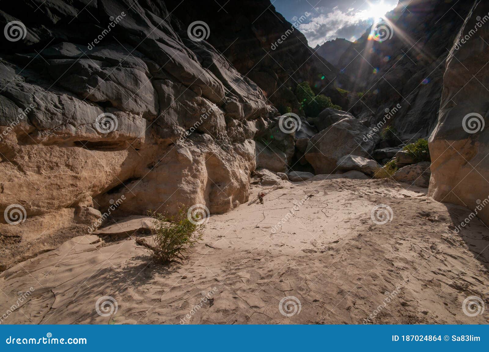 Wadi in Rustaq Mountains, Oman Stock Photo - Image of valley, palms ...
