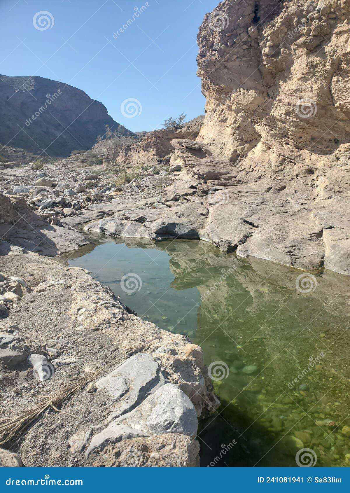 Wadi samacat muscat oman 编辑类照片. 图片 包括有 横向, 巴芬, 山谷, 阿曼 - 241081941
