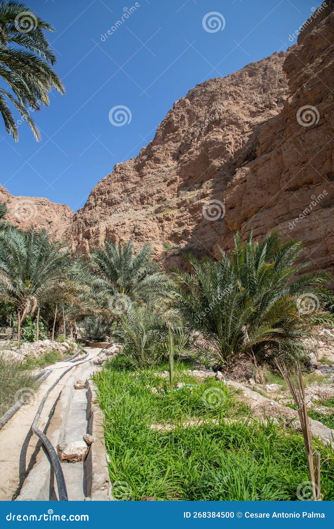 Wadi Shaab, nature of Oman stock photo. Image of stone - 268384500