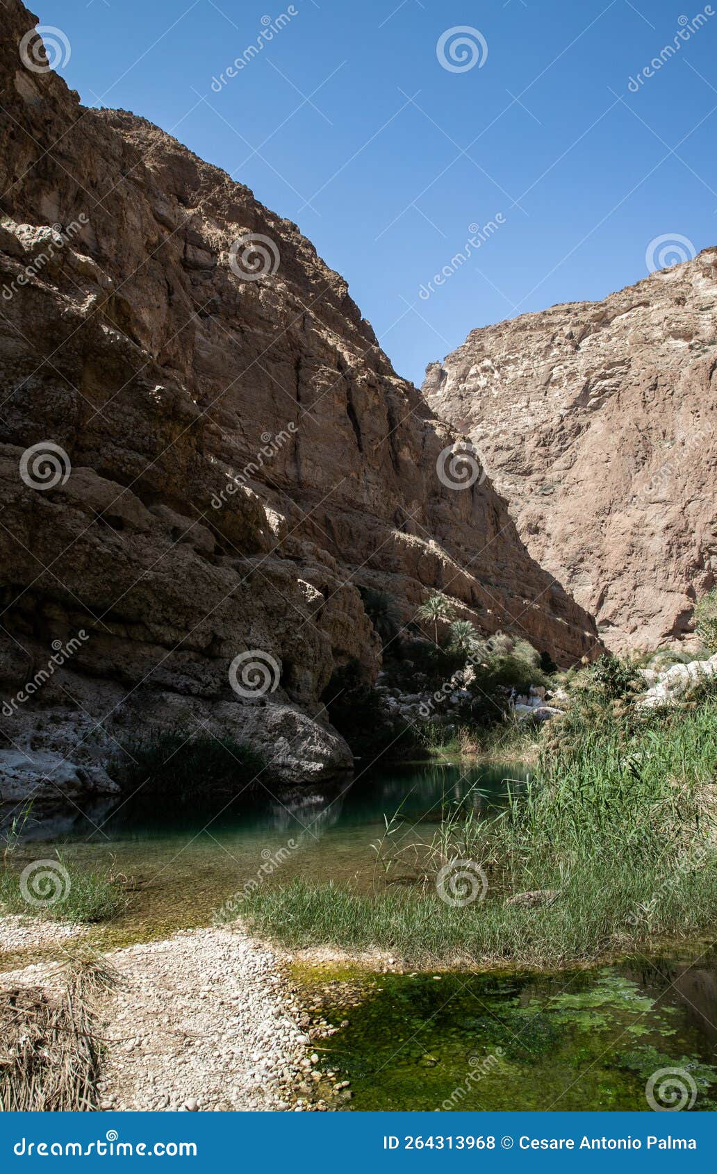 Wadi Shaab, nature of Oman stock photo. Image of river - 264313968