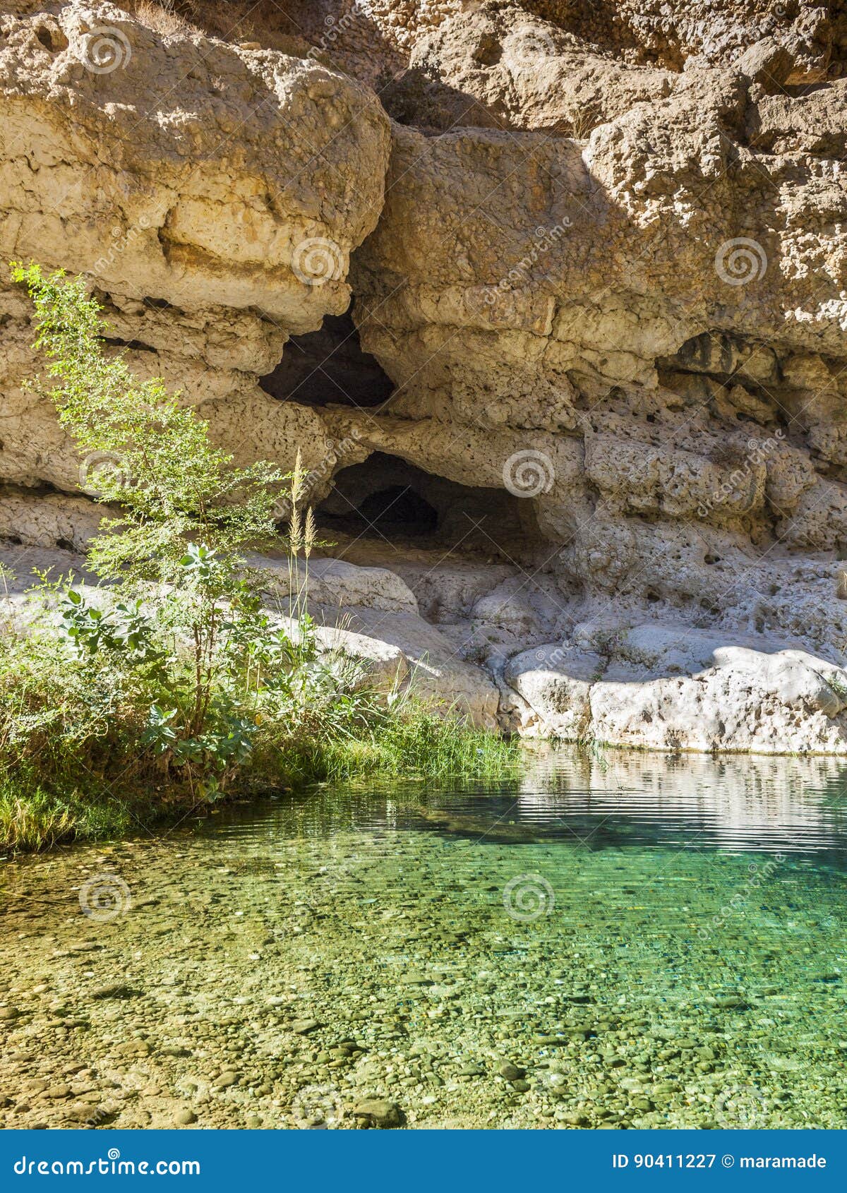 Wadi stock image. Image of pool, yellow, reflection, tree - 90411227
