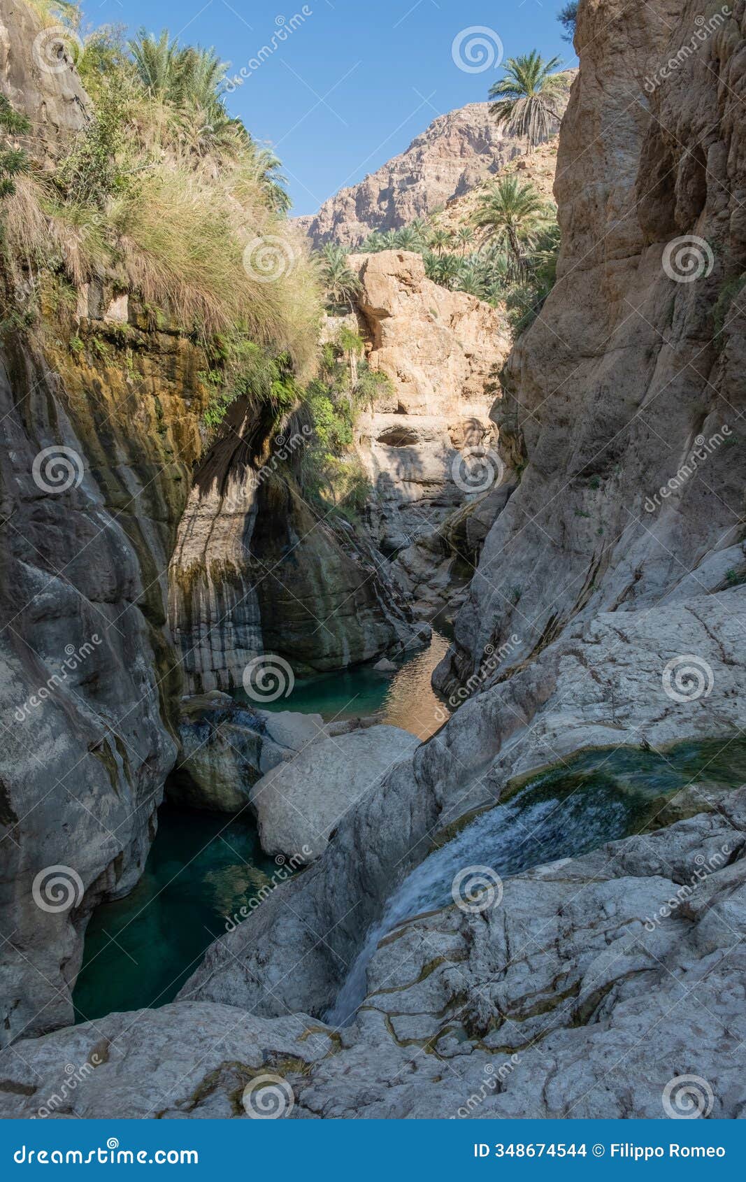 Wadi Tiwi Oman stock photo. Image of landscapes, spring - 348674544