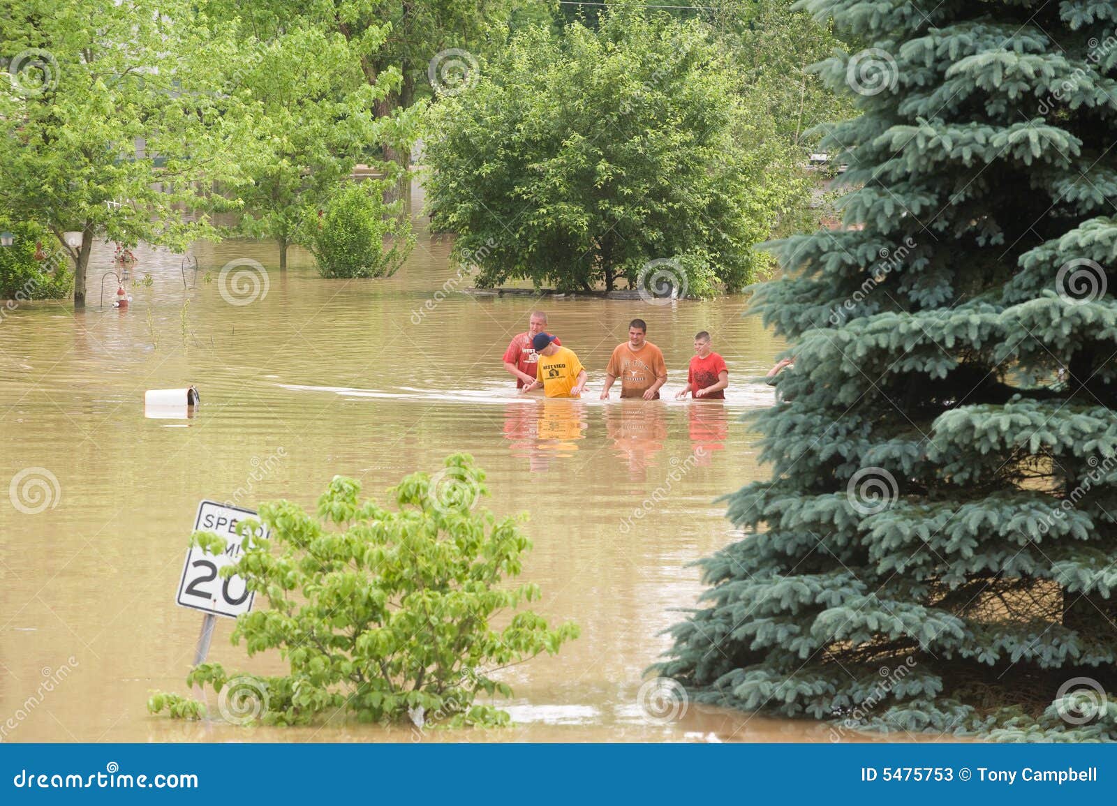 Wading through flood water editorial stock photo. Image of insurance ...