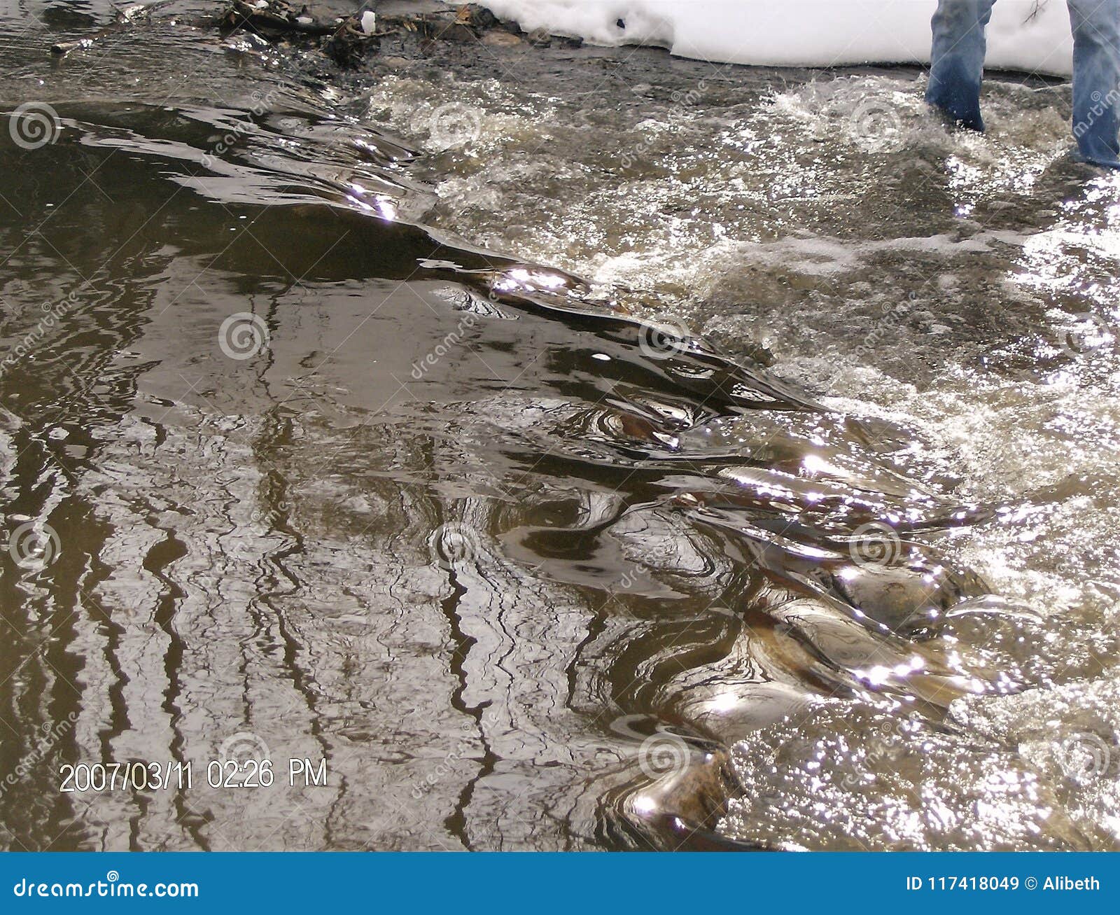`wading` for spring stock image. Image of spring, water - 117418049