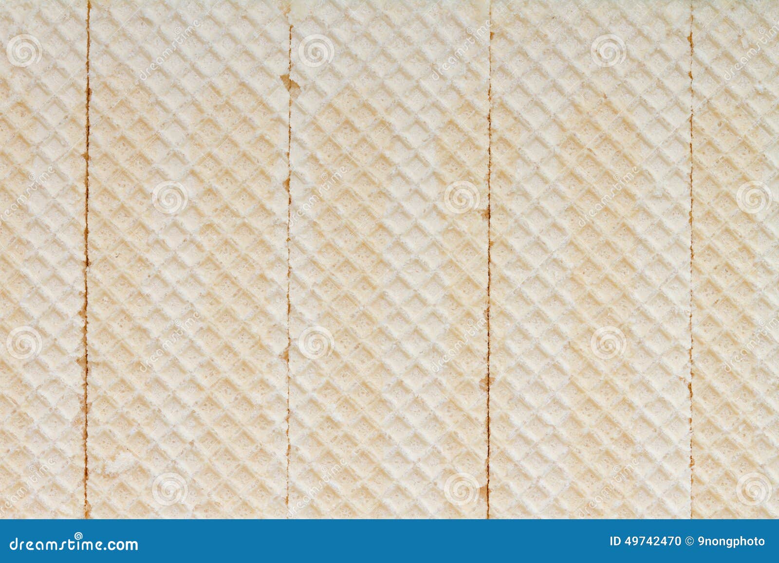 Wafer stock photo. Image of roasted, pattern, cold, delicious - 49742470