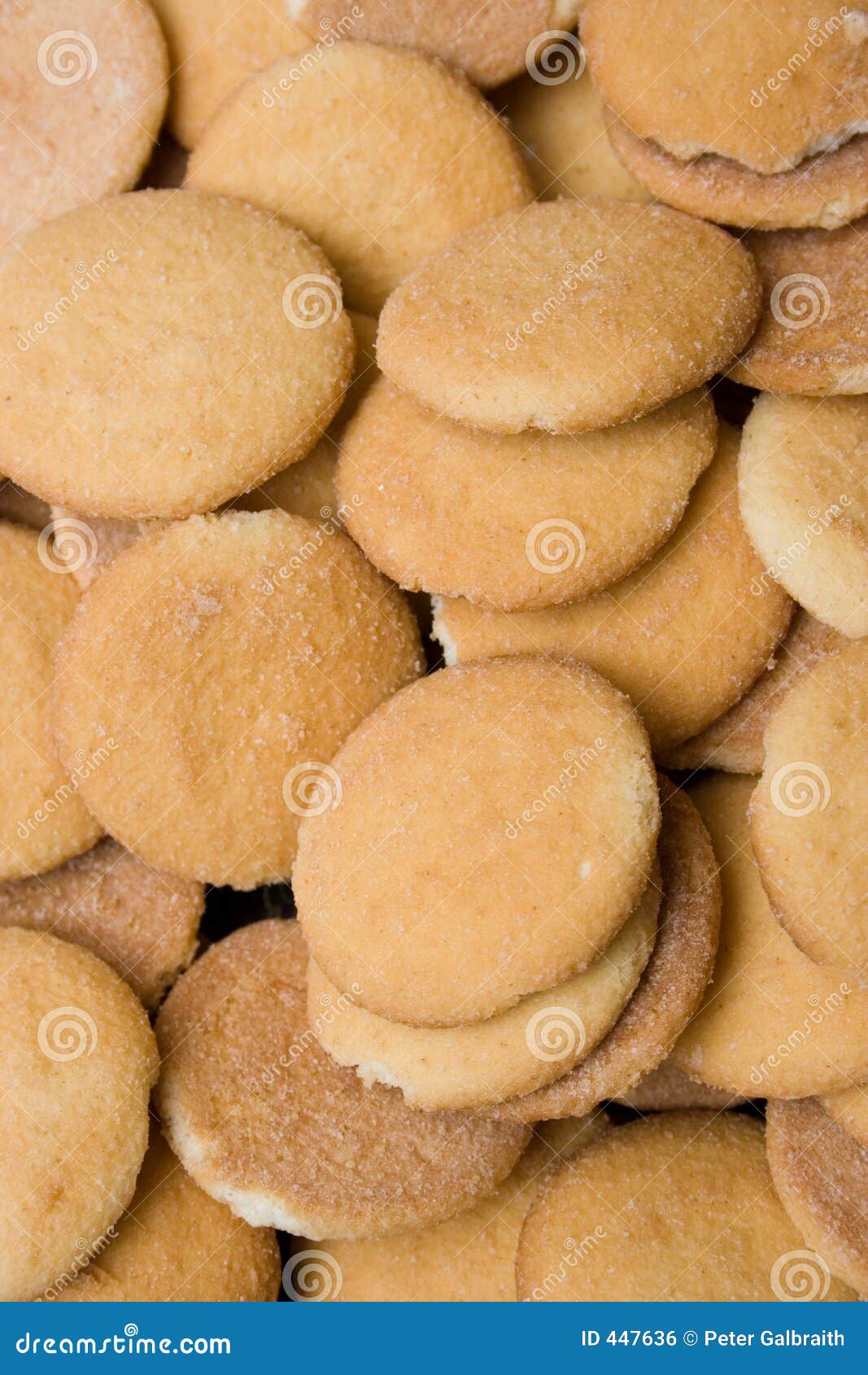 Wafers stock photo. Image of pattern, dessert, macro, crunch - 447636