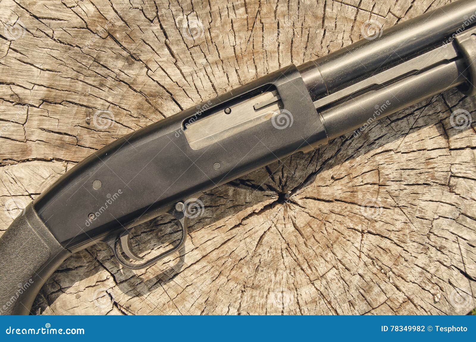 Waffe Schrotflintenkonzept Schwarze Schrotflinte Stockfoto - Bild von ...