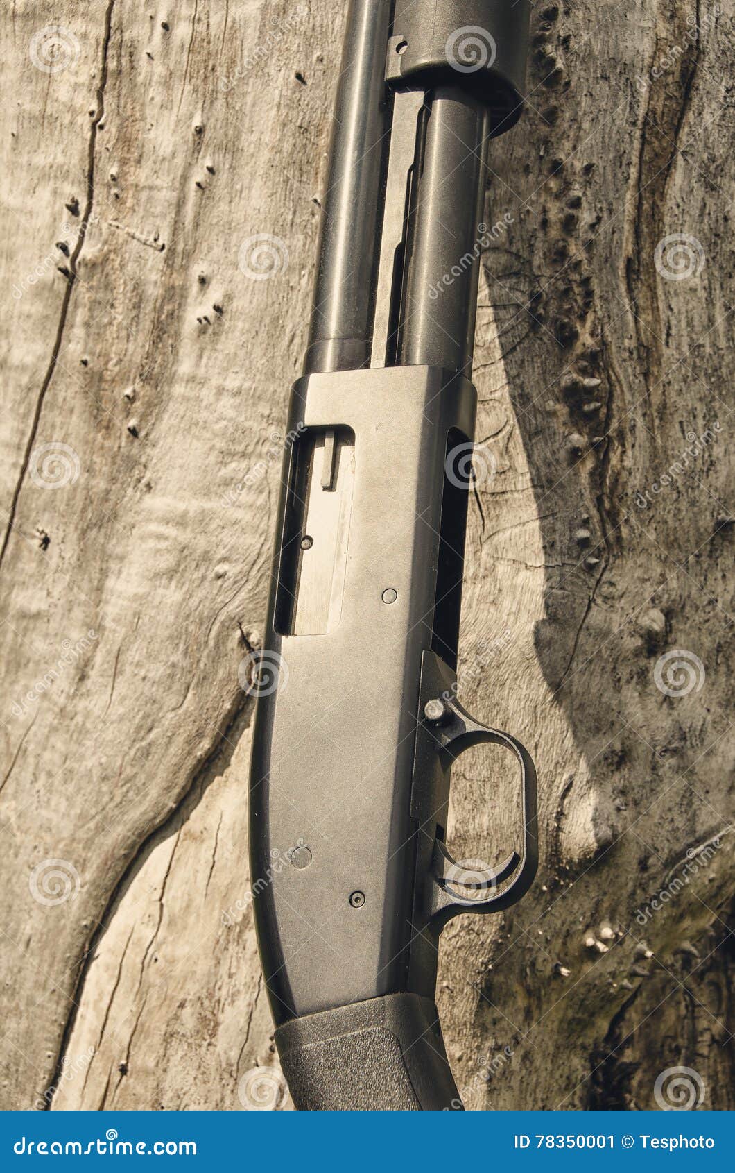 Waffe Schrotflintenkonzept Schwarze Schrotflinte Stockbild - Bild von ...