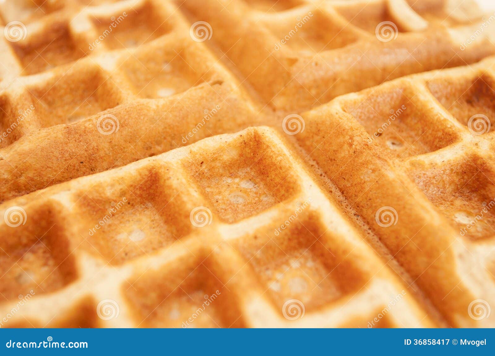 Waffle stock image. Image of plate, copy, morning, delicious - 36858417