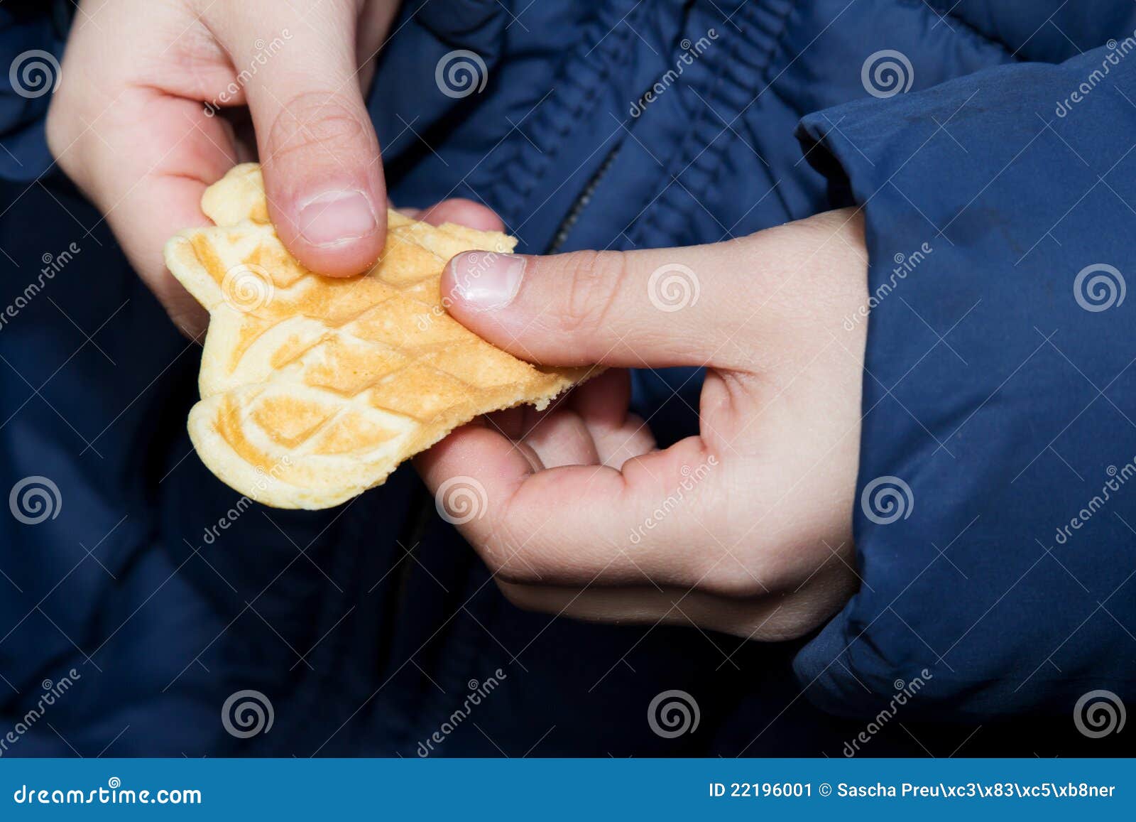 Waffle in hands stock image. Image of taste, young, freshly - 22196001
