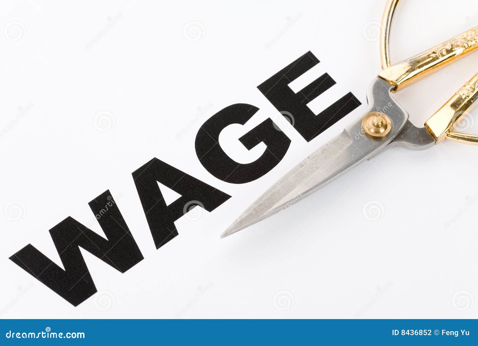 Wage Cut stock photo. Image of salary, economic, problem - 8436852