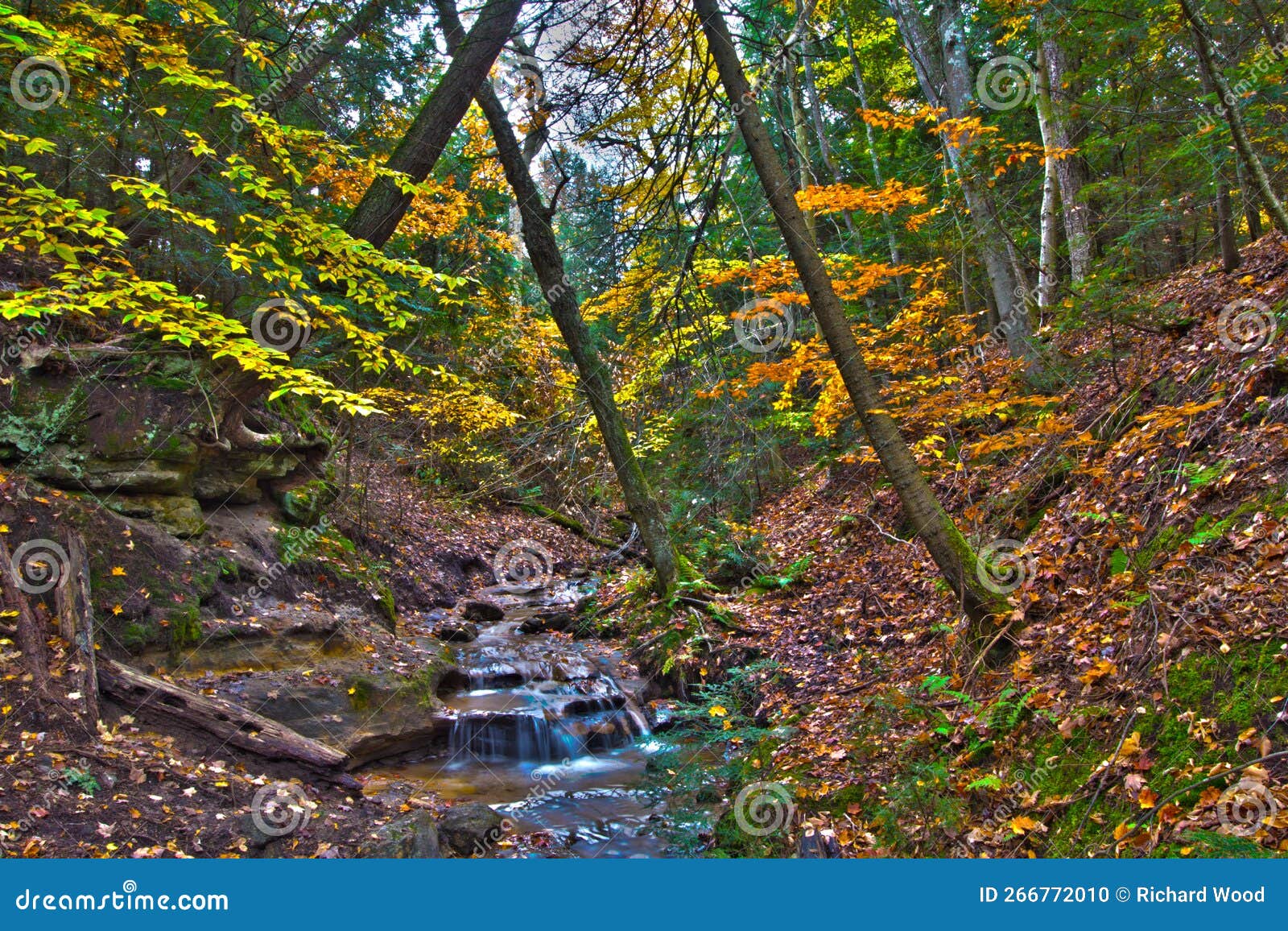 View at Wagner Falls State Scenic Site, Michigan Stock Photo - Image of ...