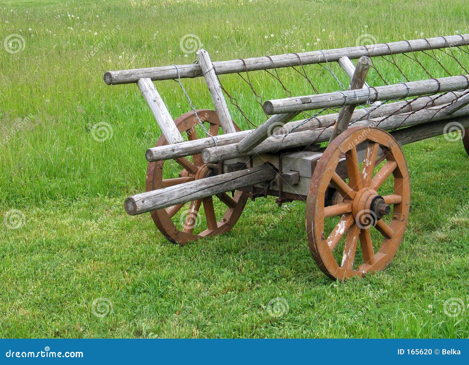 Wagon stock photo. Image of farmland, wagon, transportation - 165620