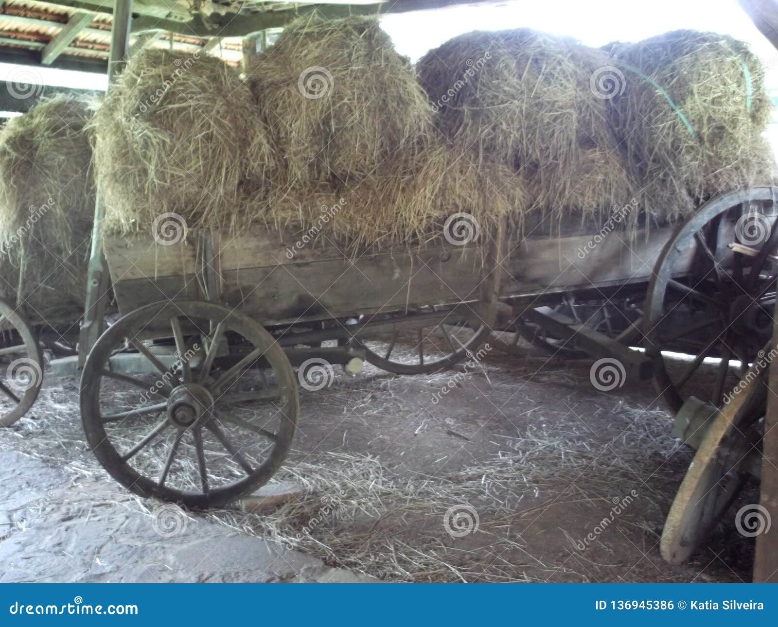 Hay for farm animals stock photo. Image of wagon, full - 136945386