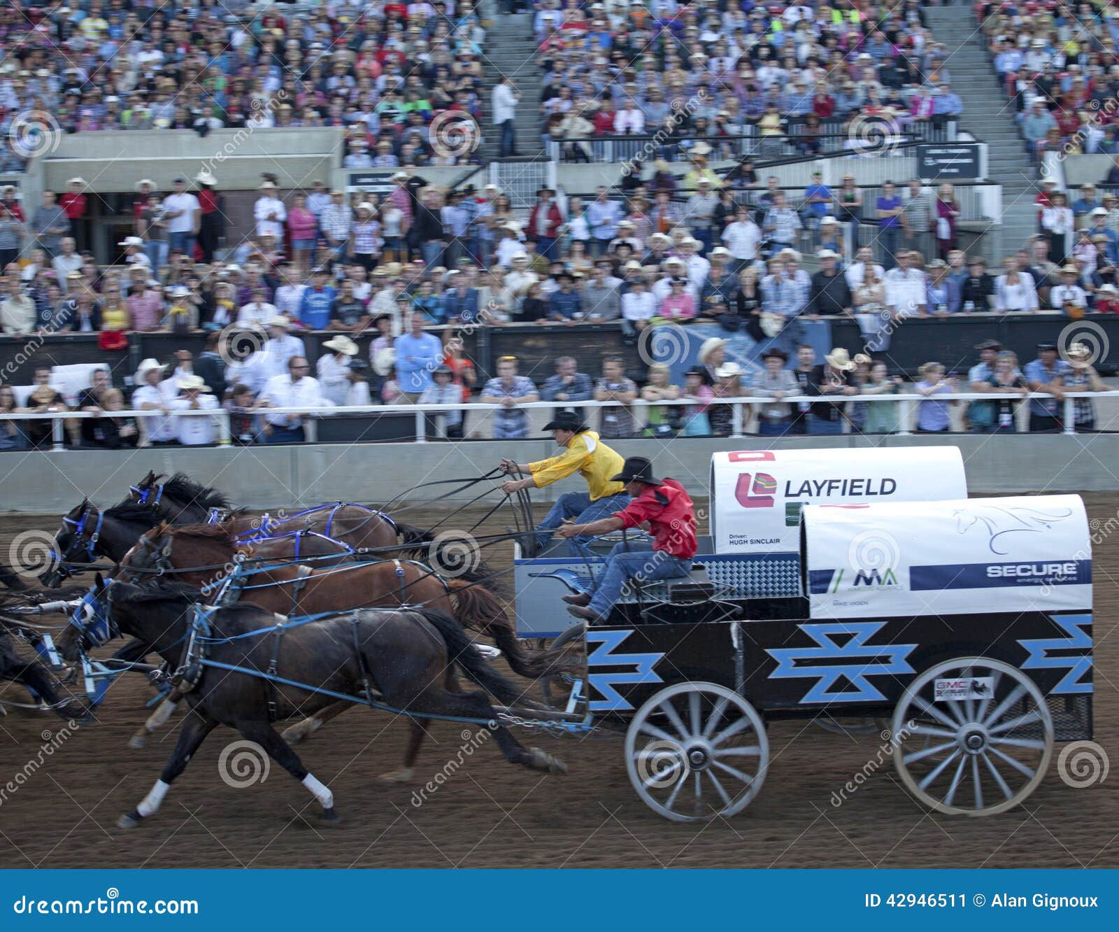 Wagon racing, Calgary editorial photo. Image of competition - 42946511