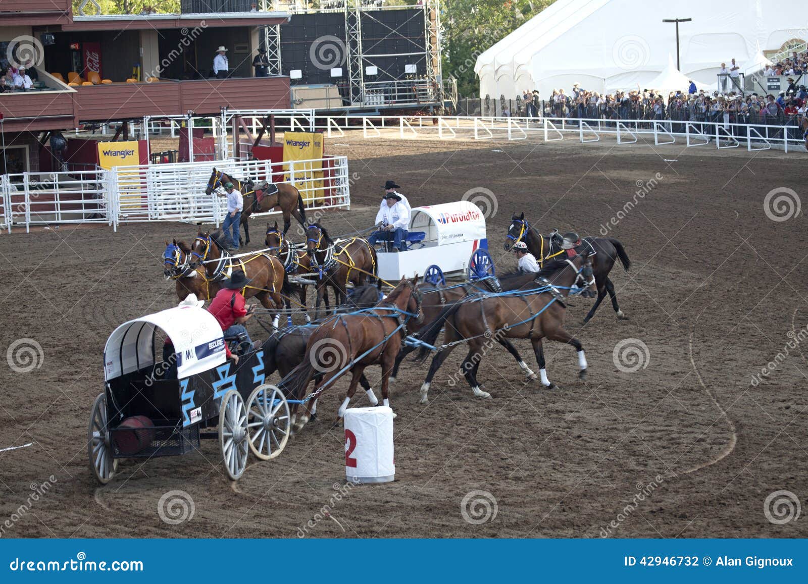 Wagon racing, Calgary editorial photography. Image of spectators - 42946732