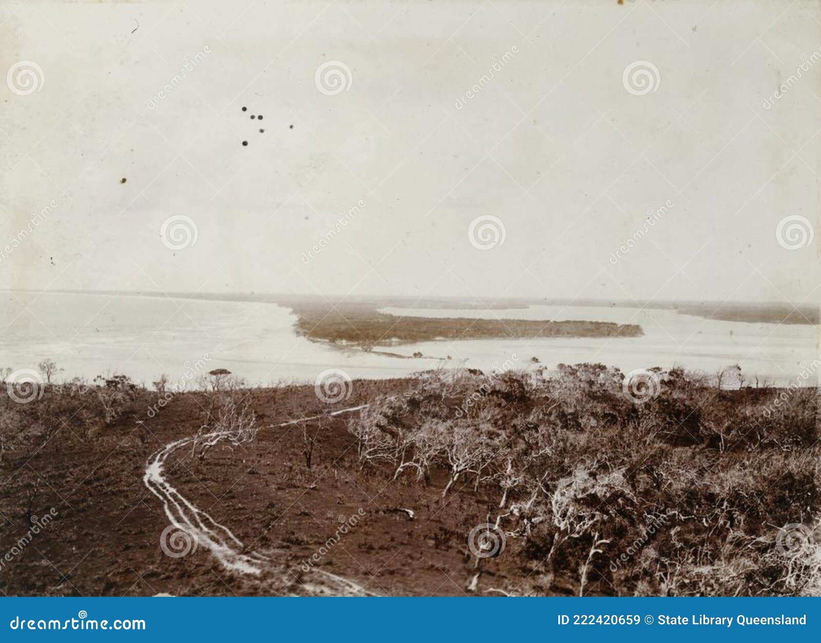 Wagon Ruts Leading To The Beach At Caloundra Picture. Image: 222420659