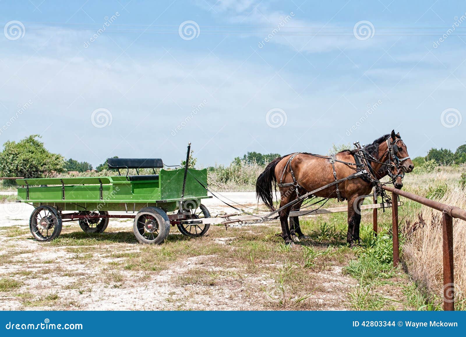 Farm With Horse Carriage
