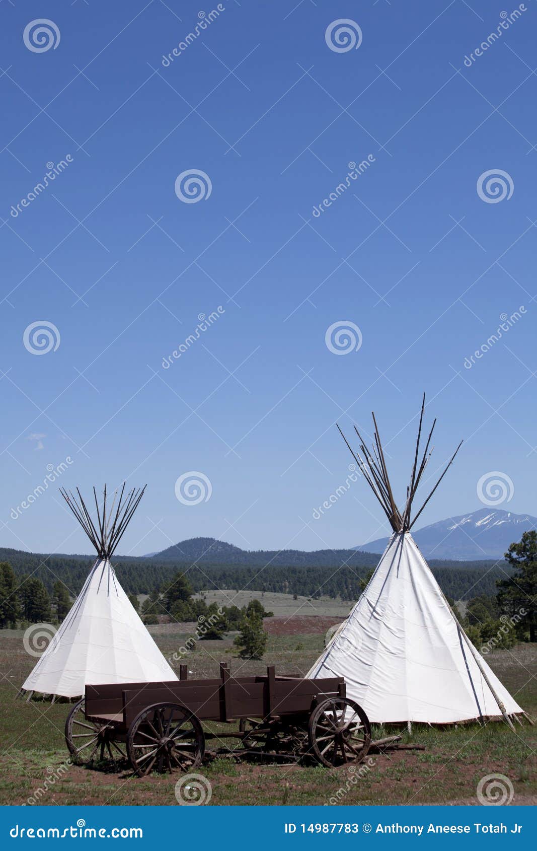 A Tipi, Or Teepee Made Of Trees In A Pine Forest Stock Photography ...