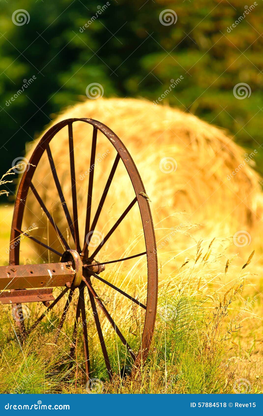 Wagon wheel and Hay stock photo. Image of steel, roll - 57884518