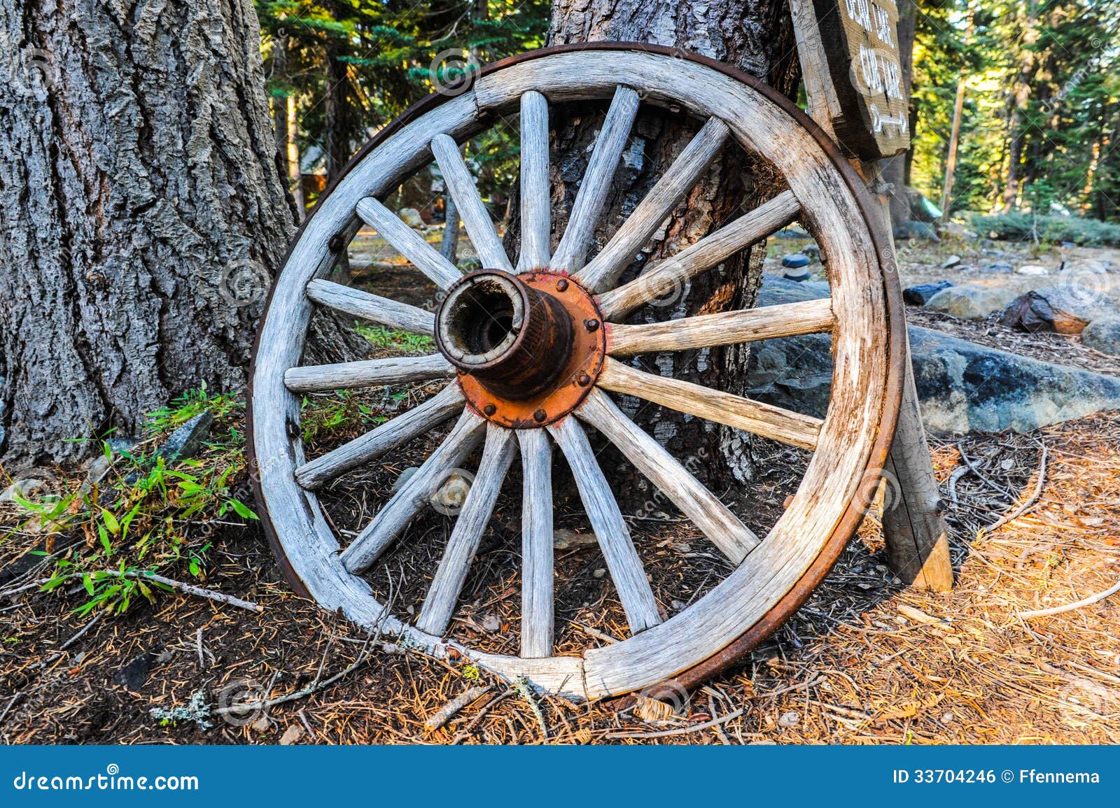 Wagon Wheel Leans Against Pine Tree Stock Photo - Image of antique ...