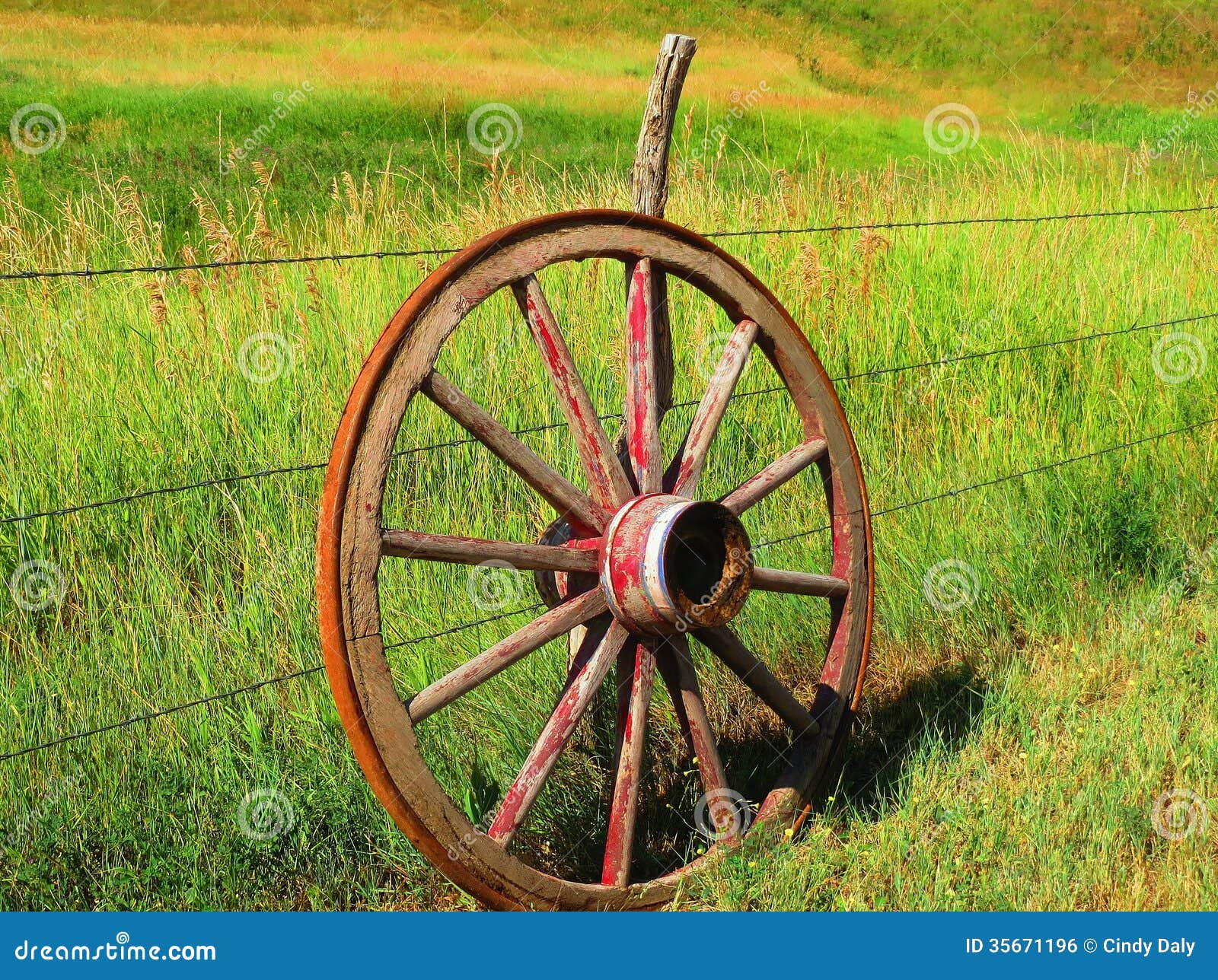 Wagon wheel stock photo. Image of nature, wagon, wheel - 35671196