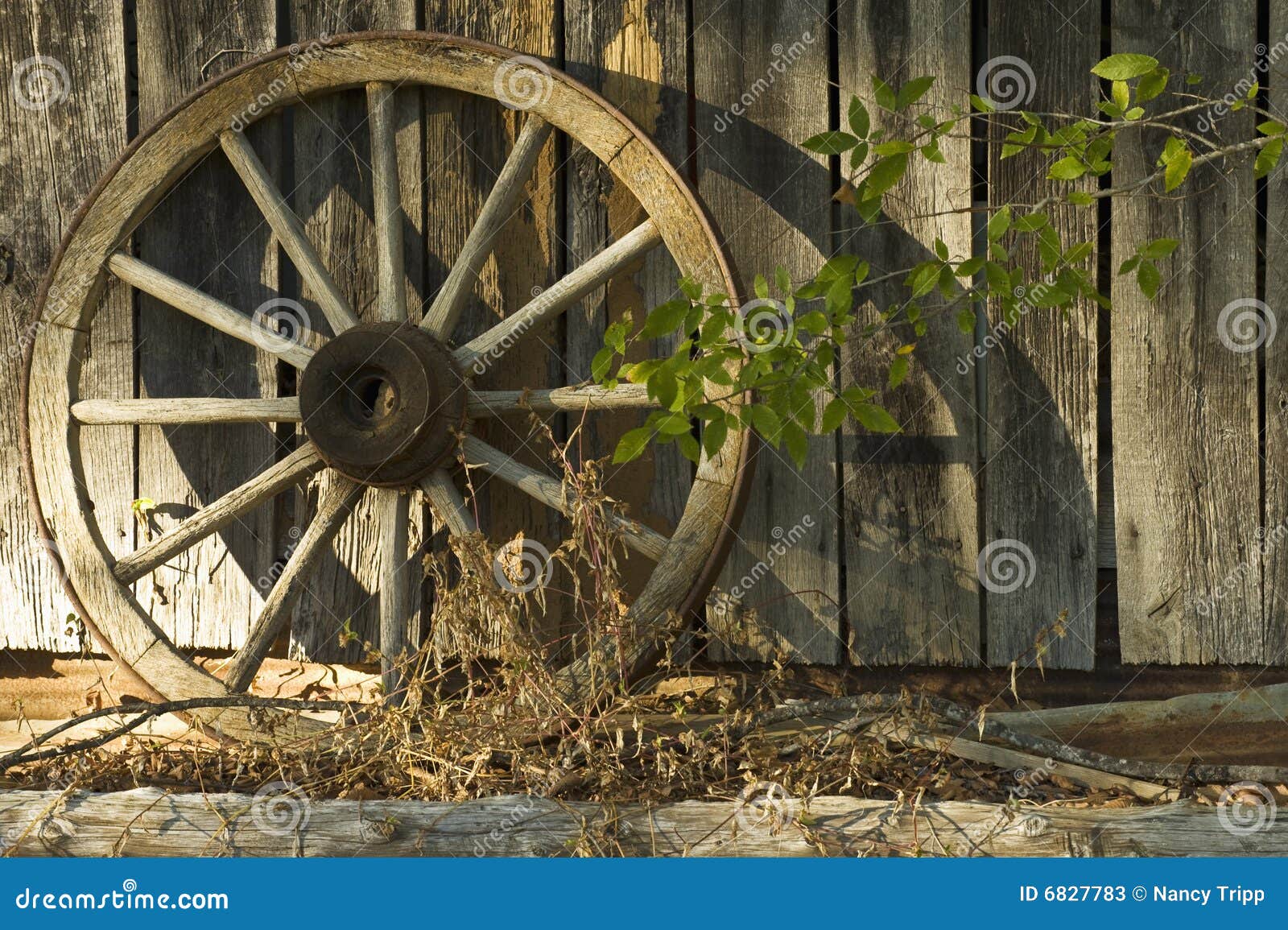 Wagon wheel with shadows stock image. Image of barn, shadow - 6827783