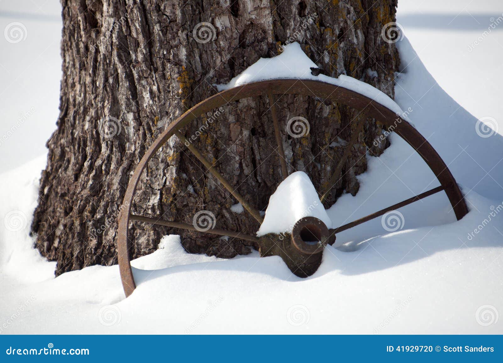 Wagon Wheel stock photo. Image of metal, tree, covered - 41929720