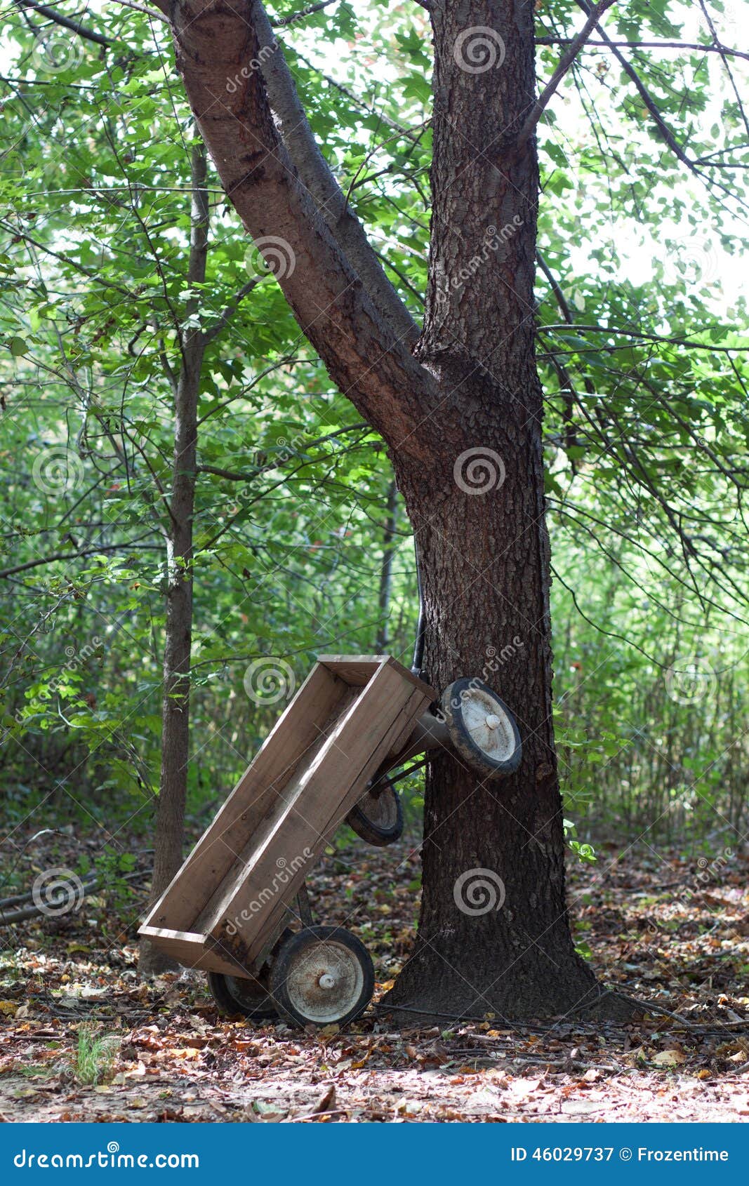 Wagon in the Woods stock image. Image of vintage, retro - 46029737