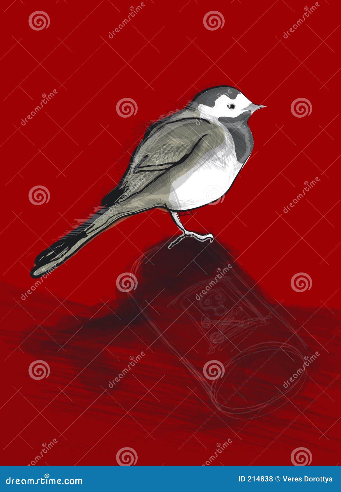 Wagtail Cartoons, Illustrations & Vector Stock Images - 789 Pictures to ...