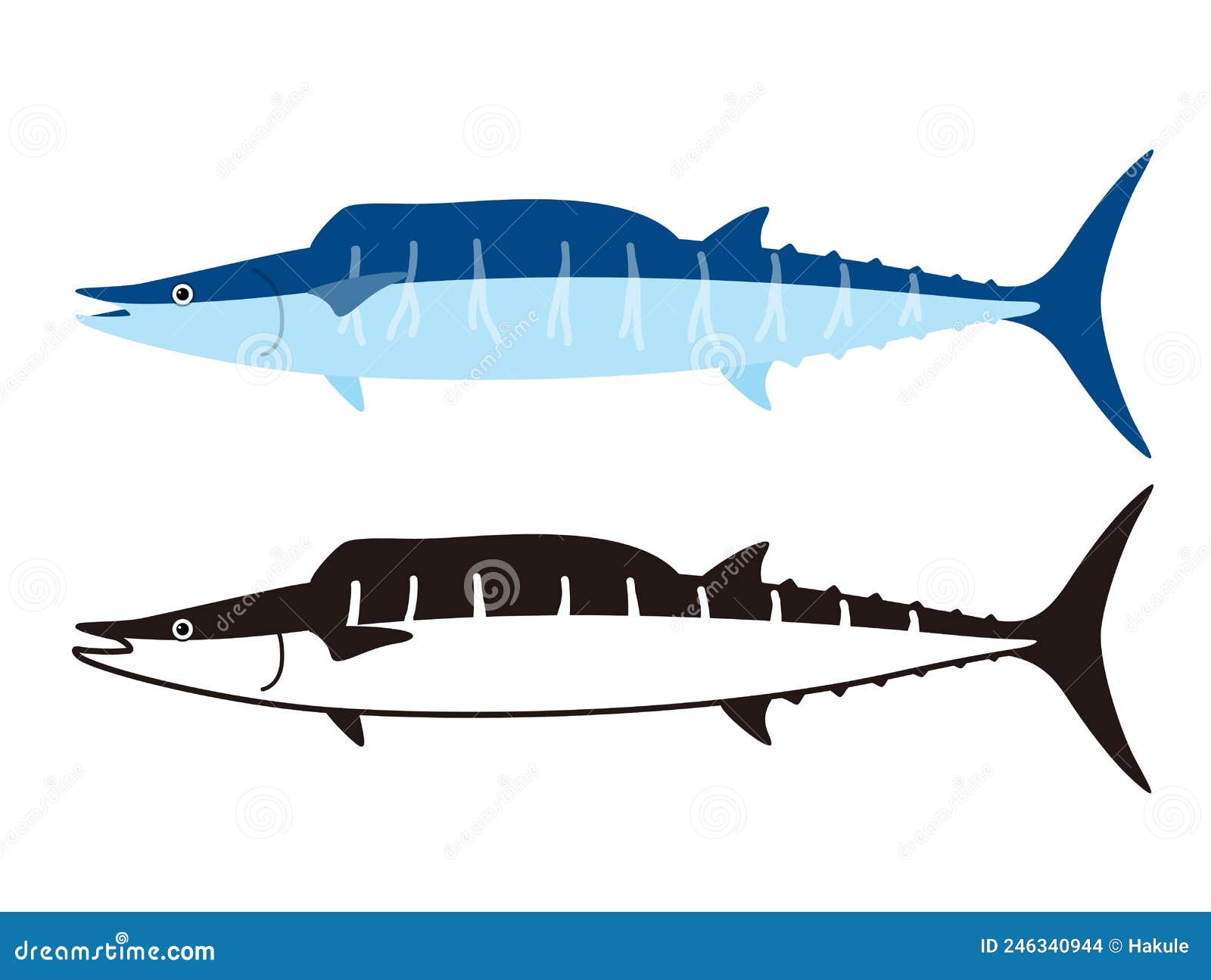 Wahoo Fish, Sider View, Vector Illustration Stock Vector - Illustration ...