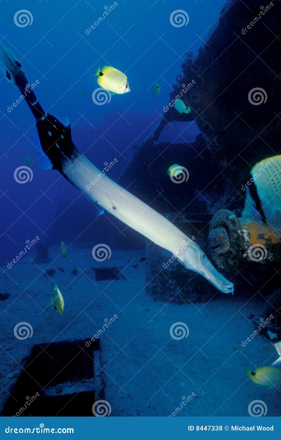 Artificial Reef Sea Defence System Royalty-Free Stock Image ...