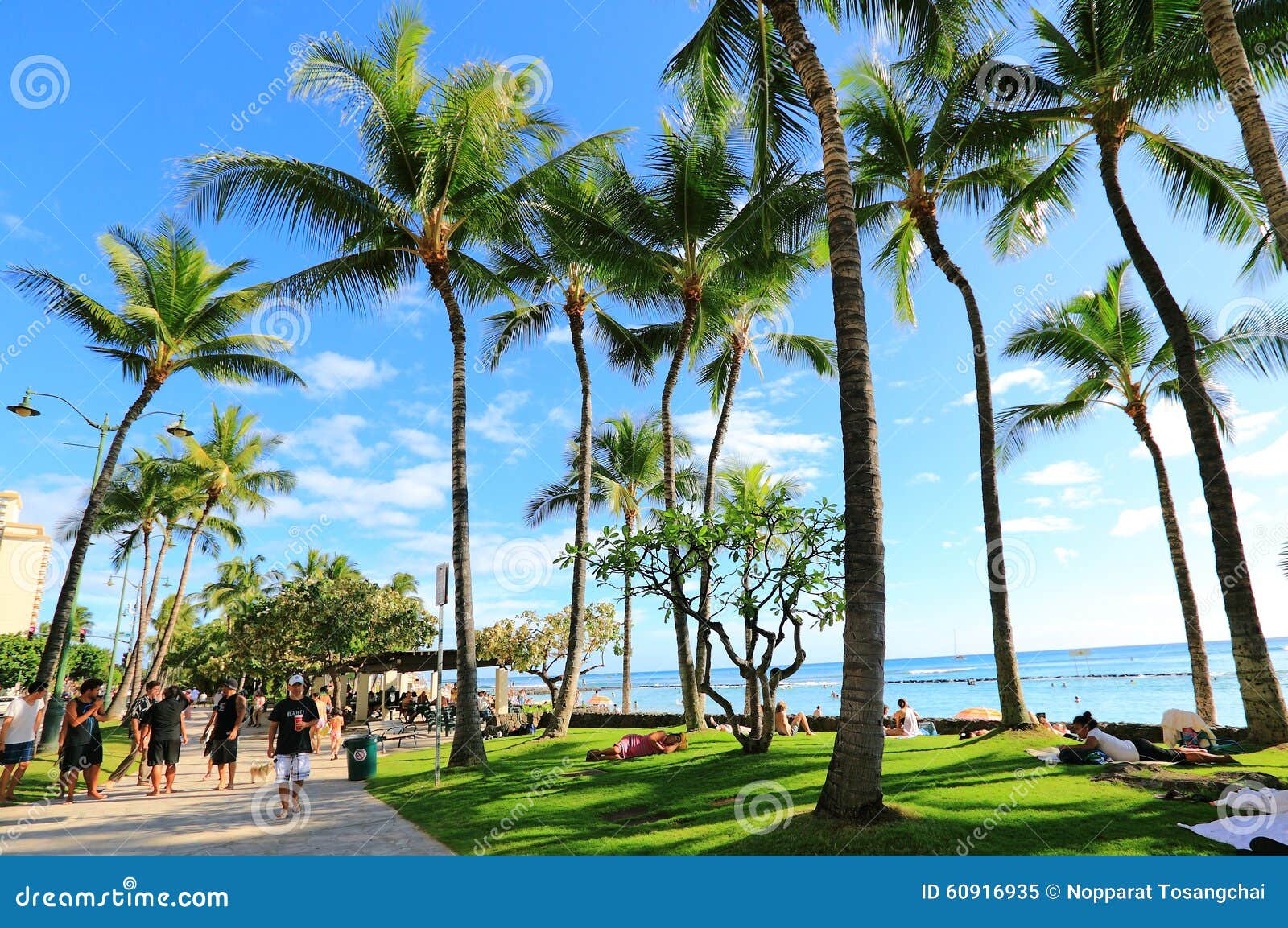 Waikiki beach on Sunny day editorial image. Image of bluesky - 60916935
