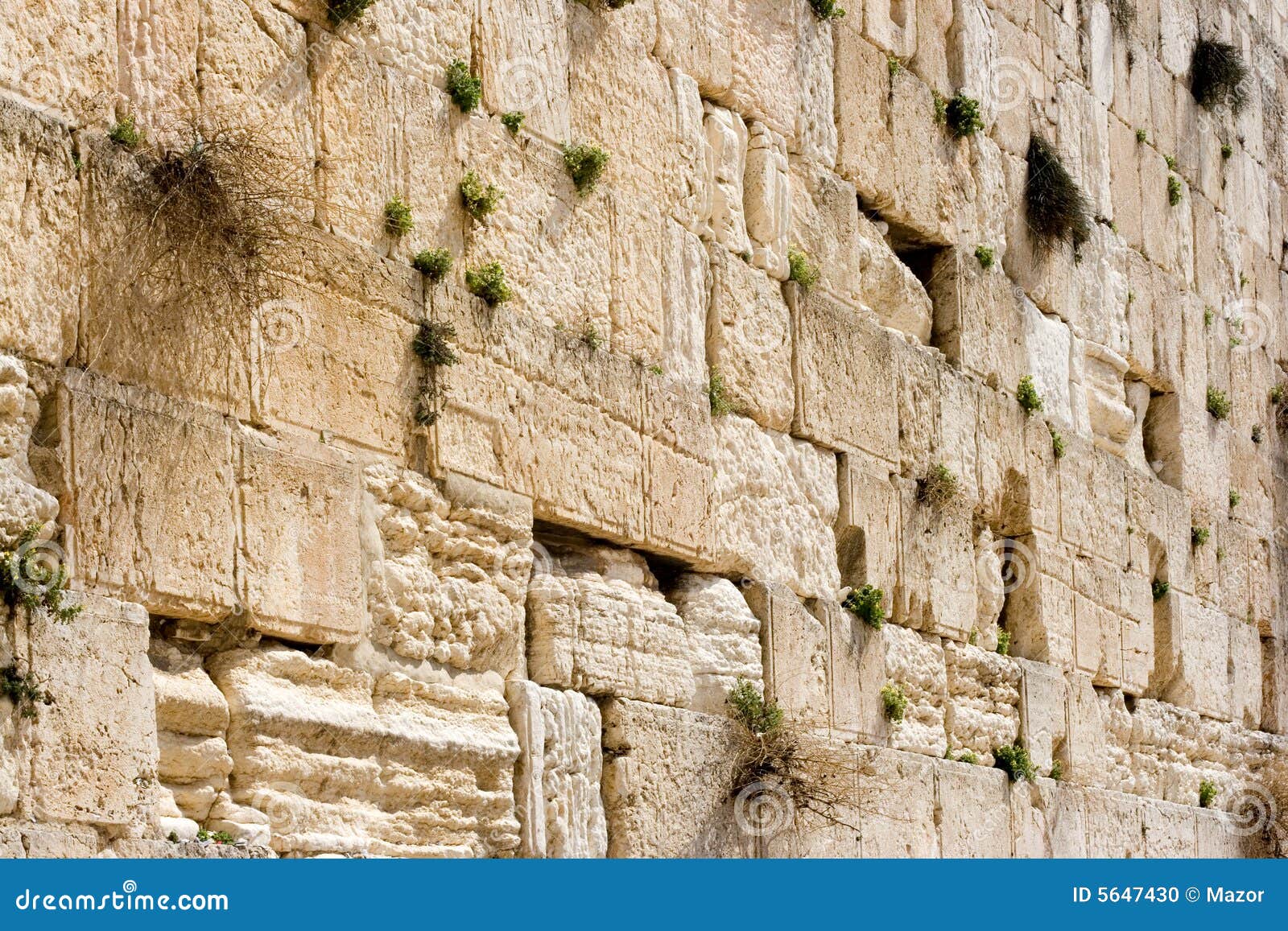 Wailing Wall stock photo. Image of brick, bush, crack - 5647430